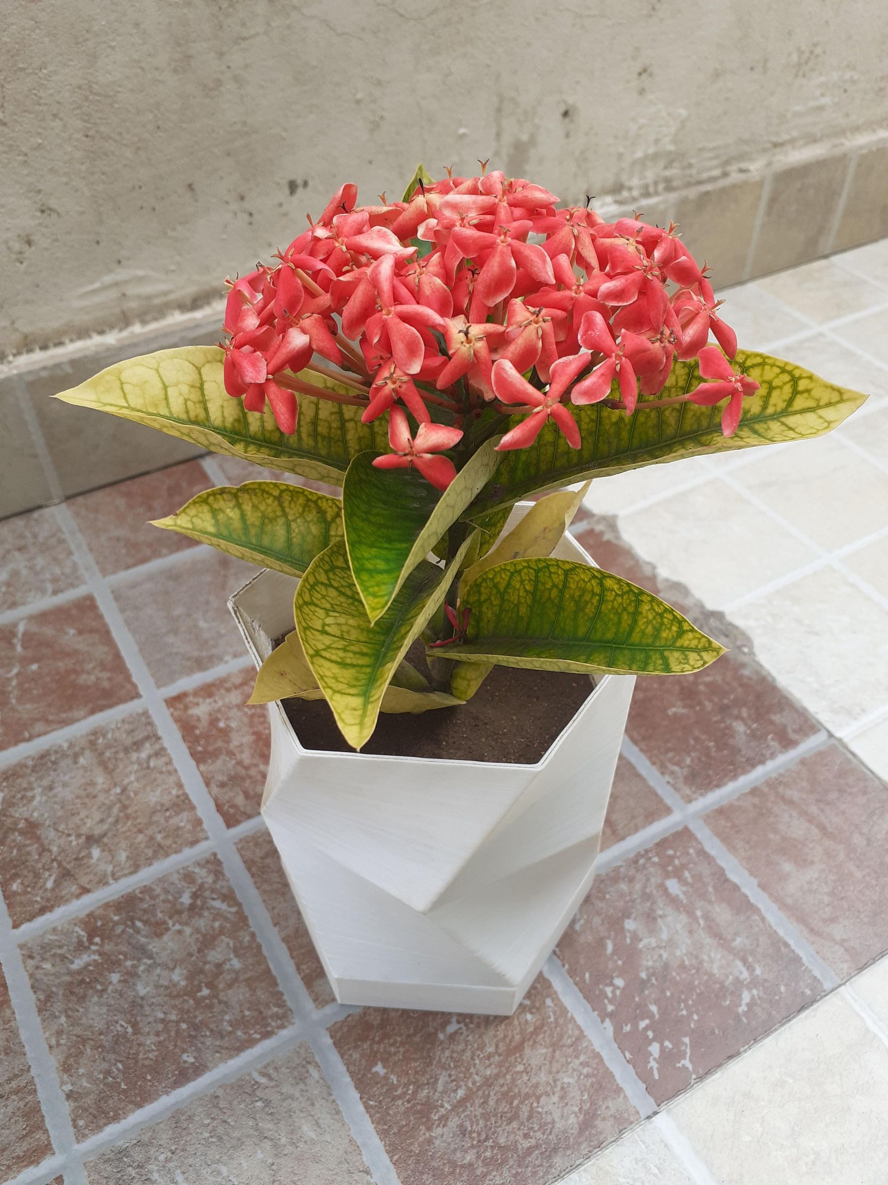 3D Printed Vase With Hidden Compartment : 4 Steps (with Pictures ...