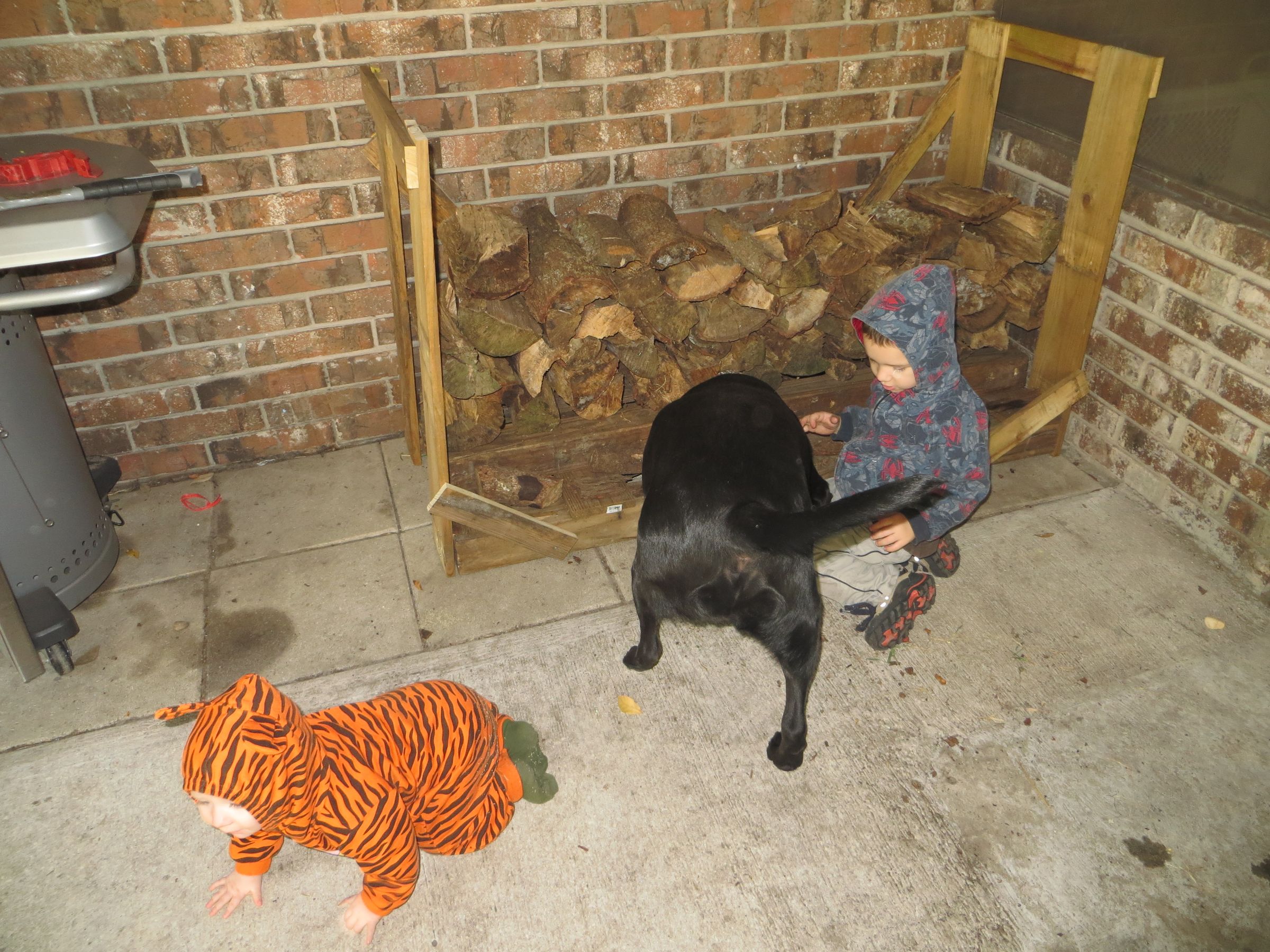 The 30 Minute Firewood Rack - Pallet Style : 6 Steps - Instructables