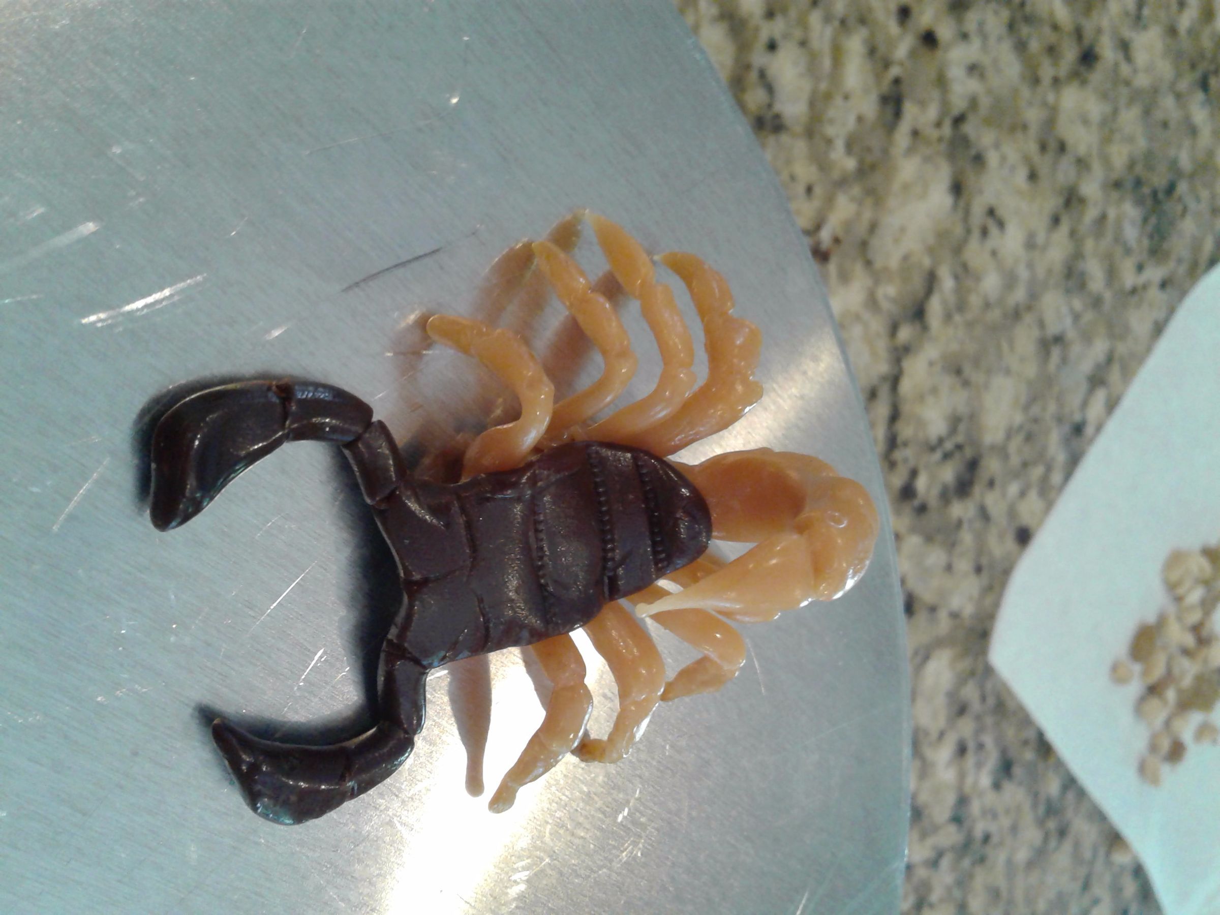 Chocolate Caramel Scorpions! : 7 Steps (with Pictures) - Instructables