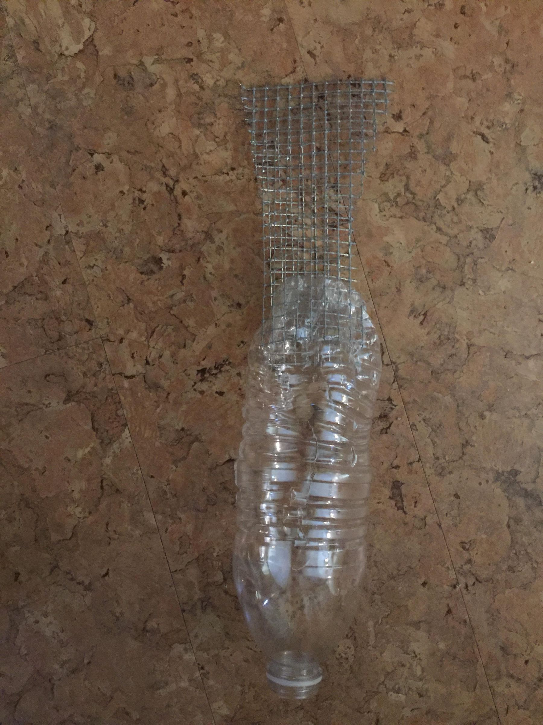 Concrete Garden Fish From Plastic Water Bottles : 4 Steps (with ...