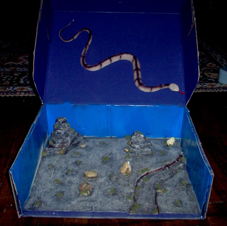 Desert Diorama : 8 Steps - Instructables