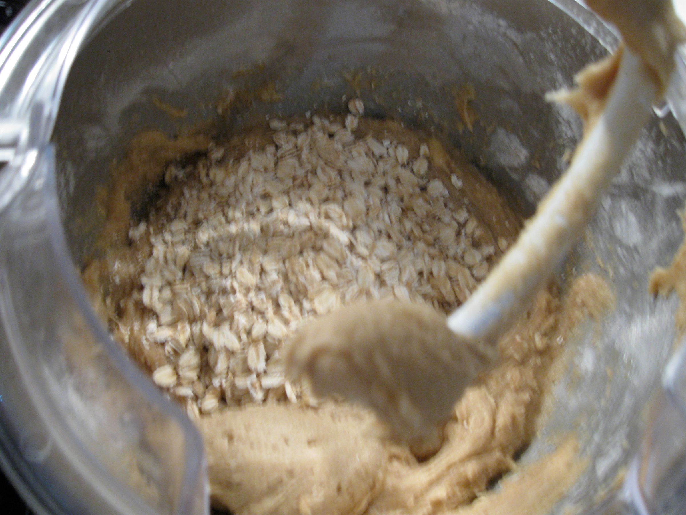 Oatmeal Walnut Chocolate Chip Cookies : 13 Steps (with Pictures ...