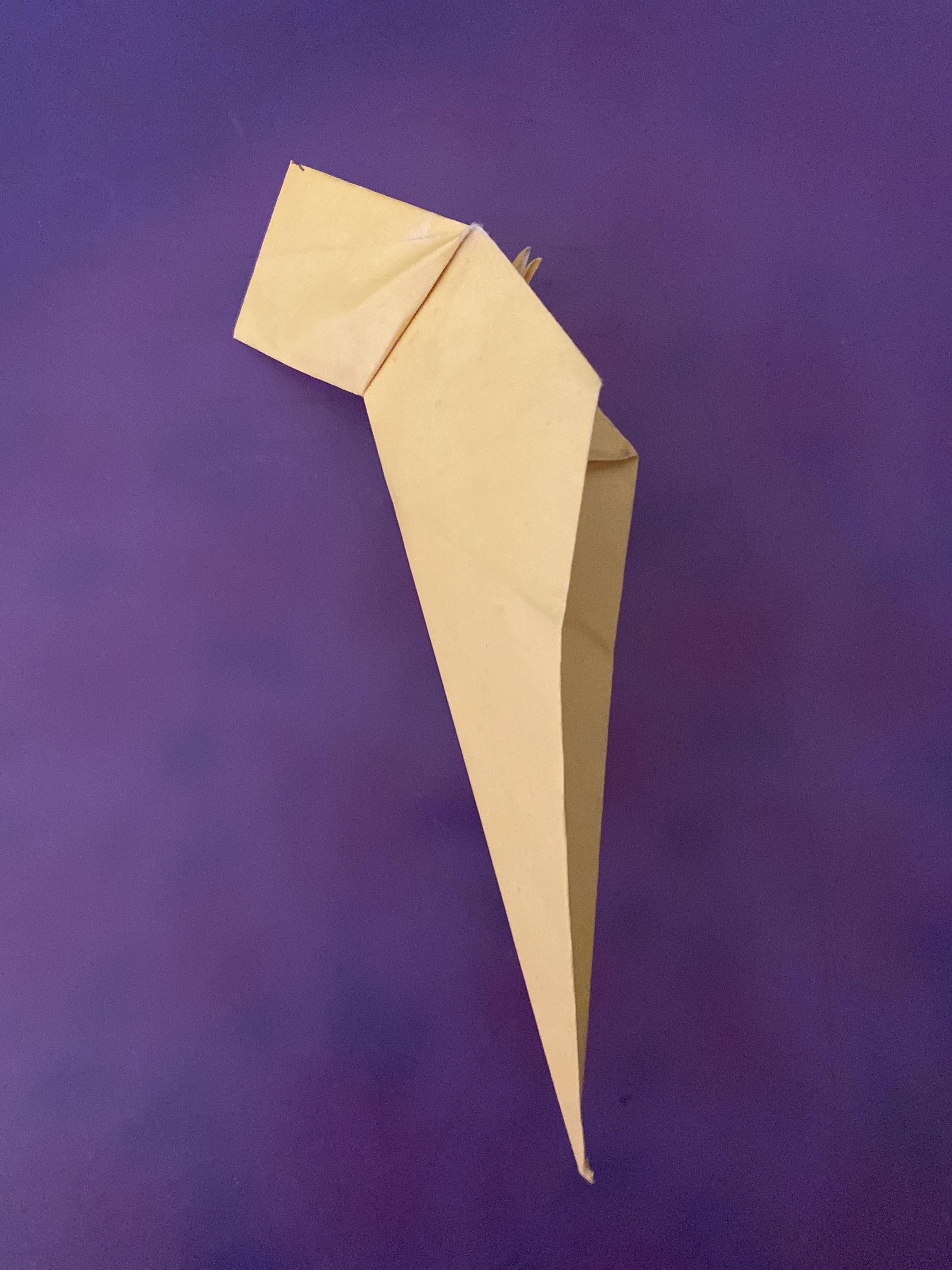 Origami Rat : 27 Steps - Instructables