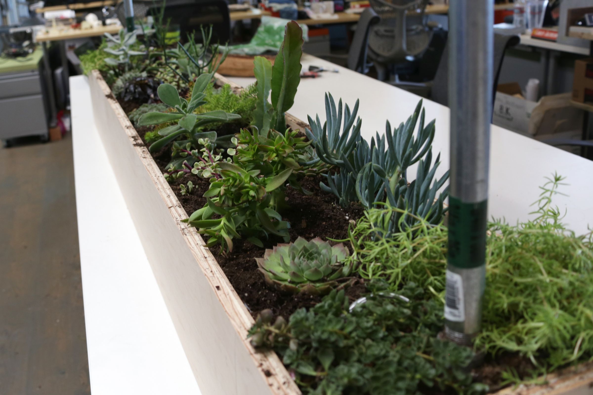 Automated Garden : 46 Steps (with Pictures) - Instructables