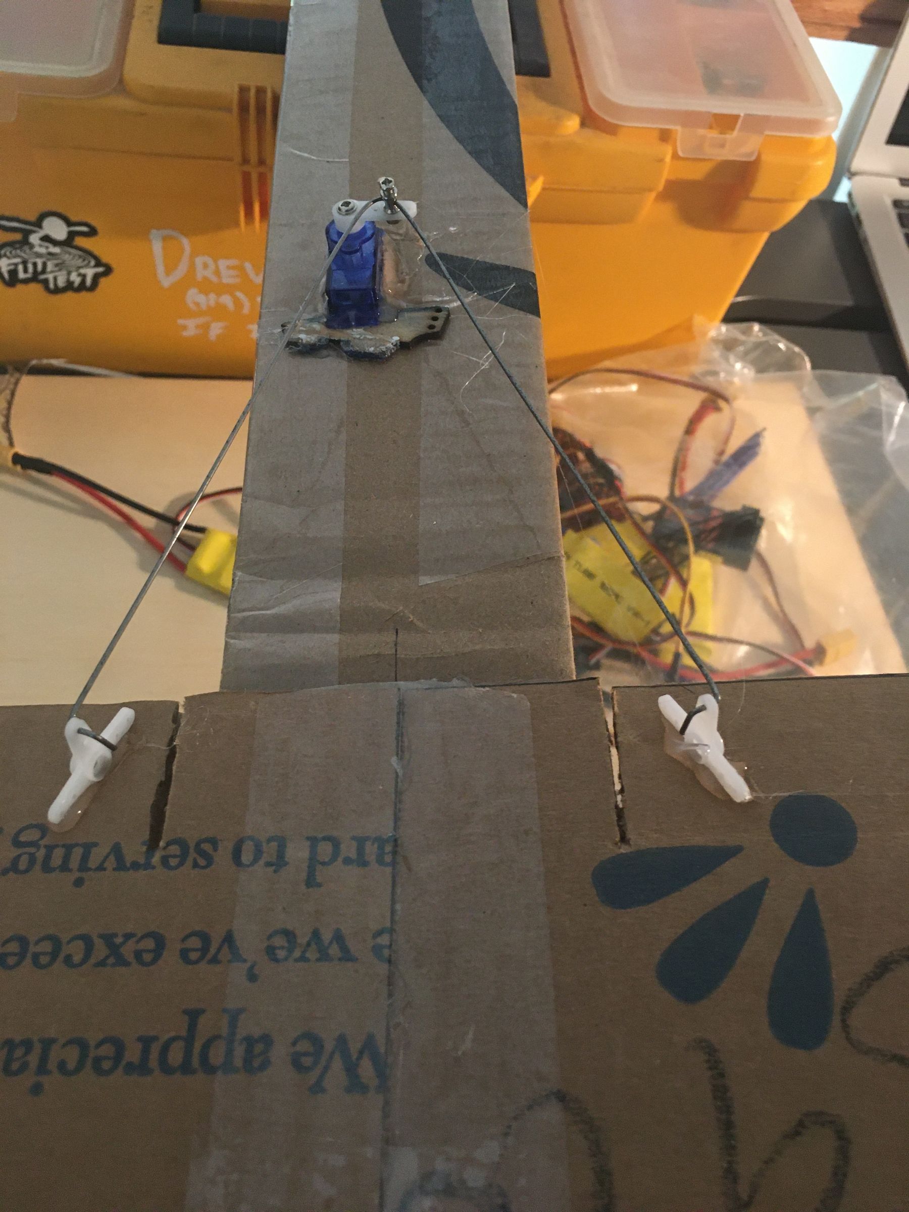 The Cardboard Canard (Canardboard) : 9 Steps (with Pictures ...