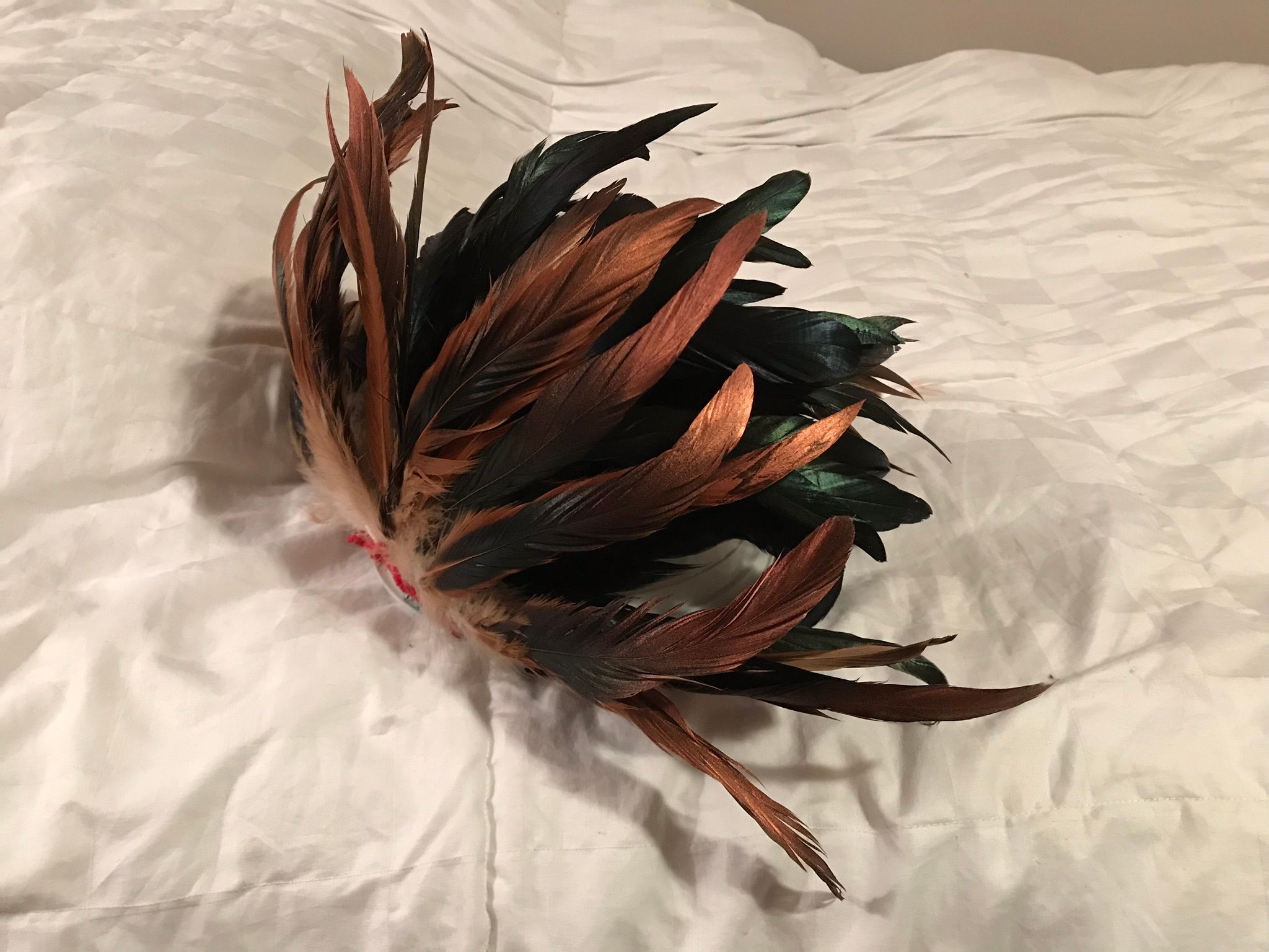 How to Make a Rooster Costume : 8 Steps (with Pictures) - Instructables