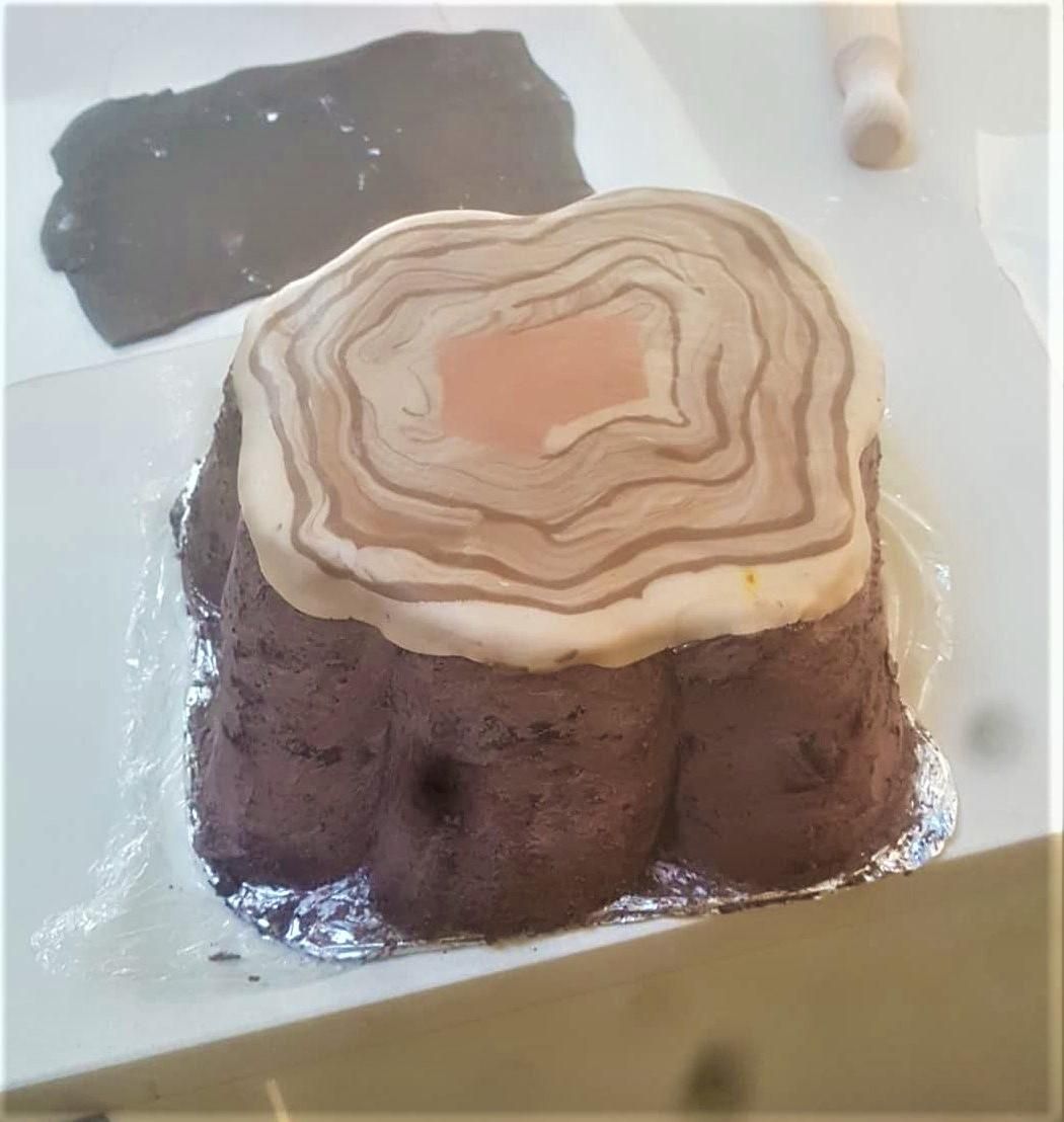 How to Sculpt a Cake - Into Anything! : 28 Steps (with Pictures ...