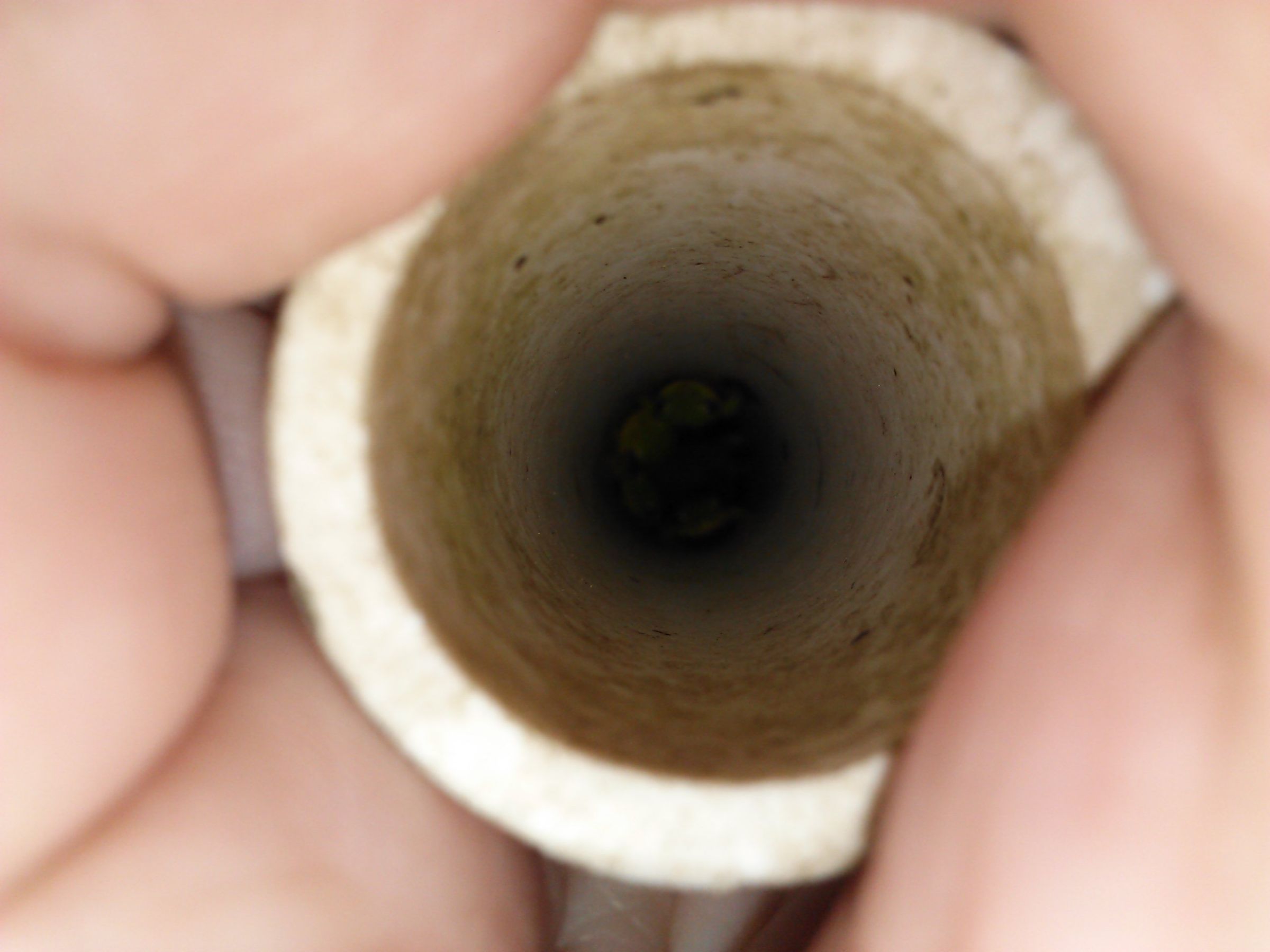 Frog Tubes! - Instructables