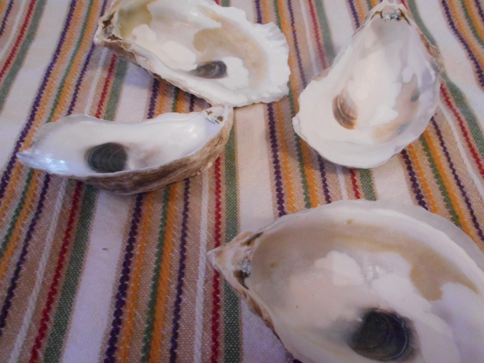 Oyster Shell Name Pins (or Place Cards) : 6 Steps - Instructables