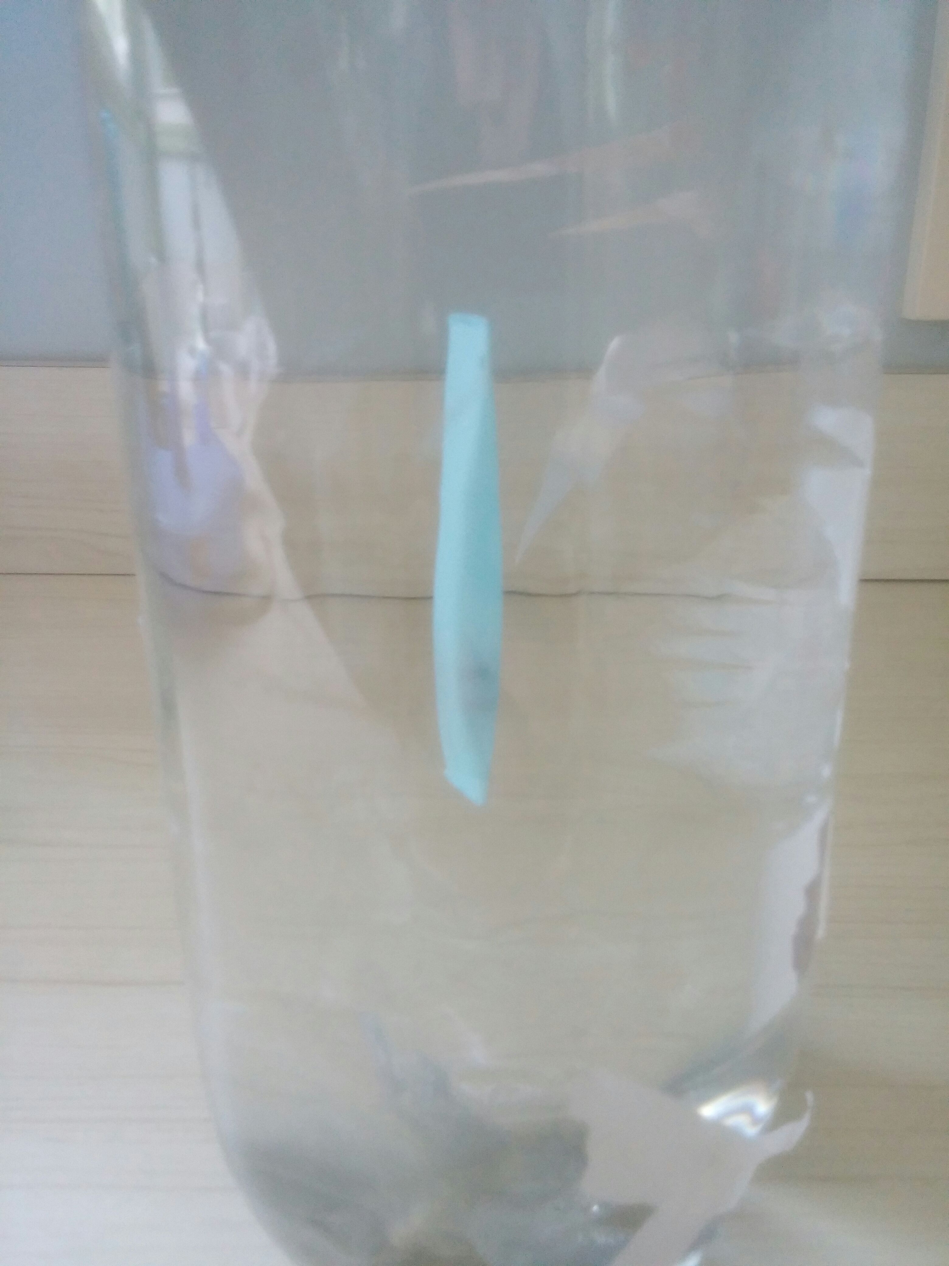 Simple Cartesian Diver : 4 Steps (with Pictures) - Instructables