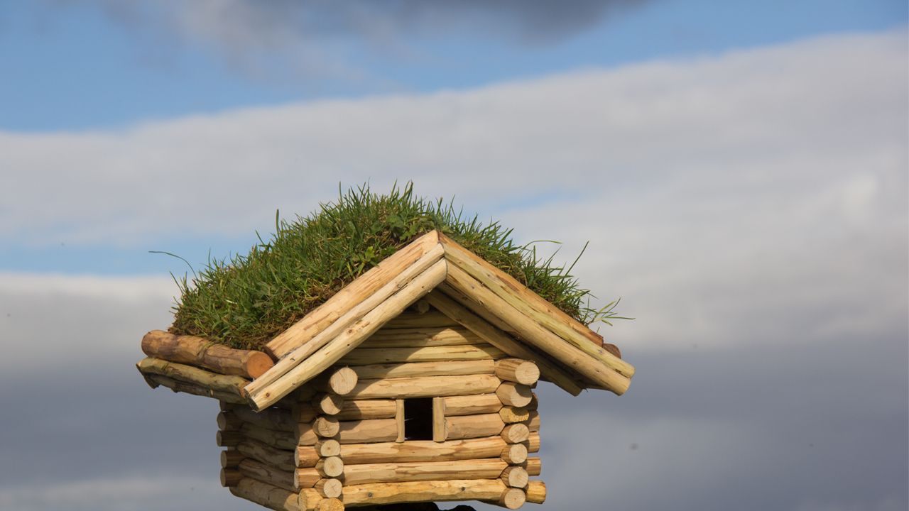 DIY Log Cabin Bird House : 15 Steps (with Pictures) - Instructables