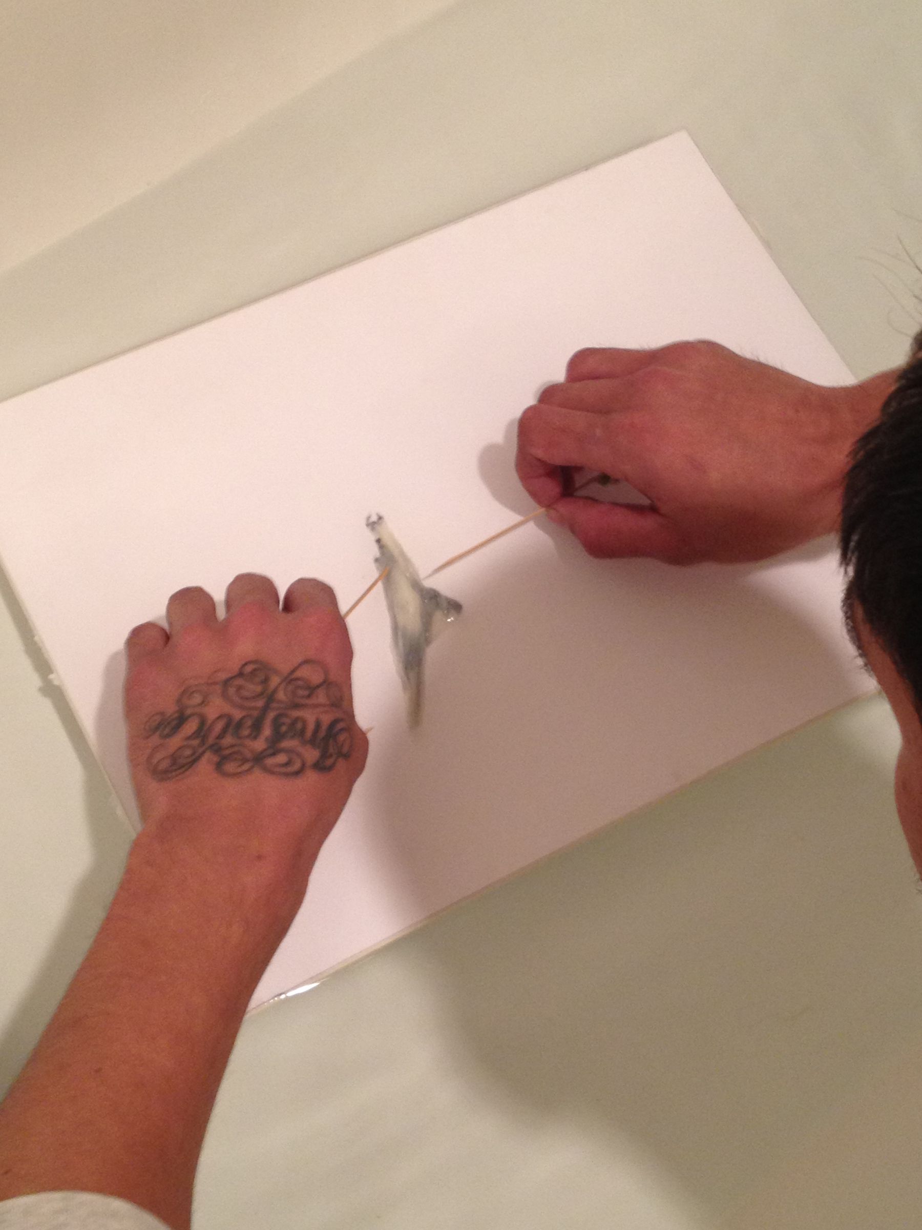 Emulsion Transfers : 14 Steps - Instructables