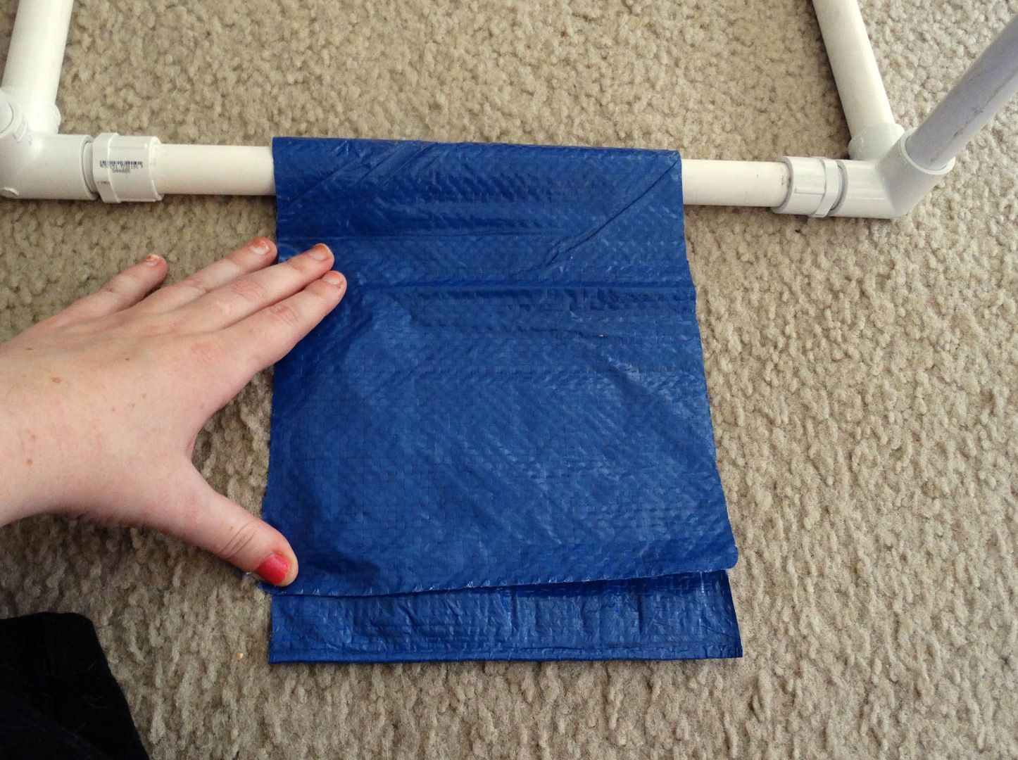 Raising Giant Silk Moths : 15 Steps (with Pictures) - Instructables