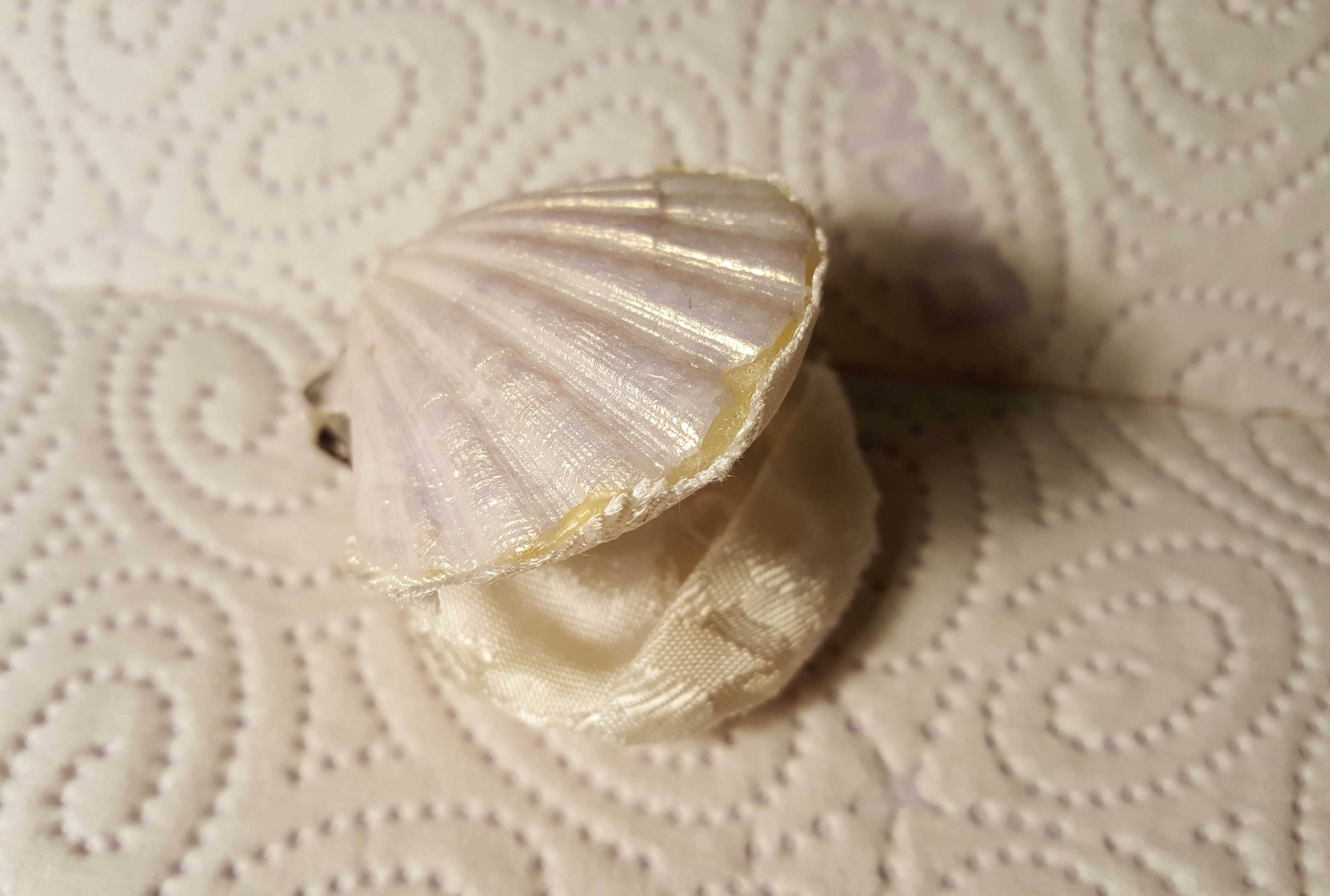 LED-illuminated Seashell Engagement Ring Box : 9 Steps (with Pictures) - Instructables