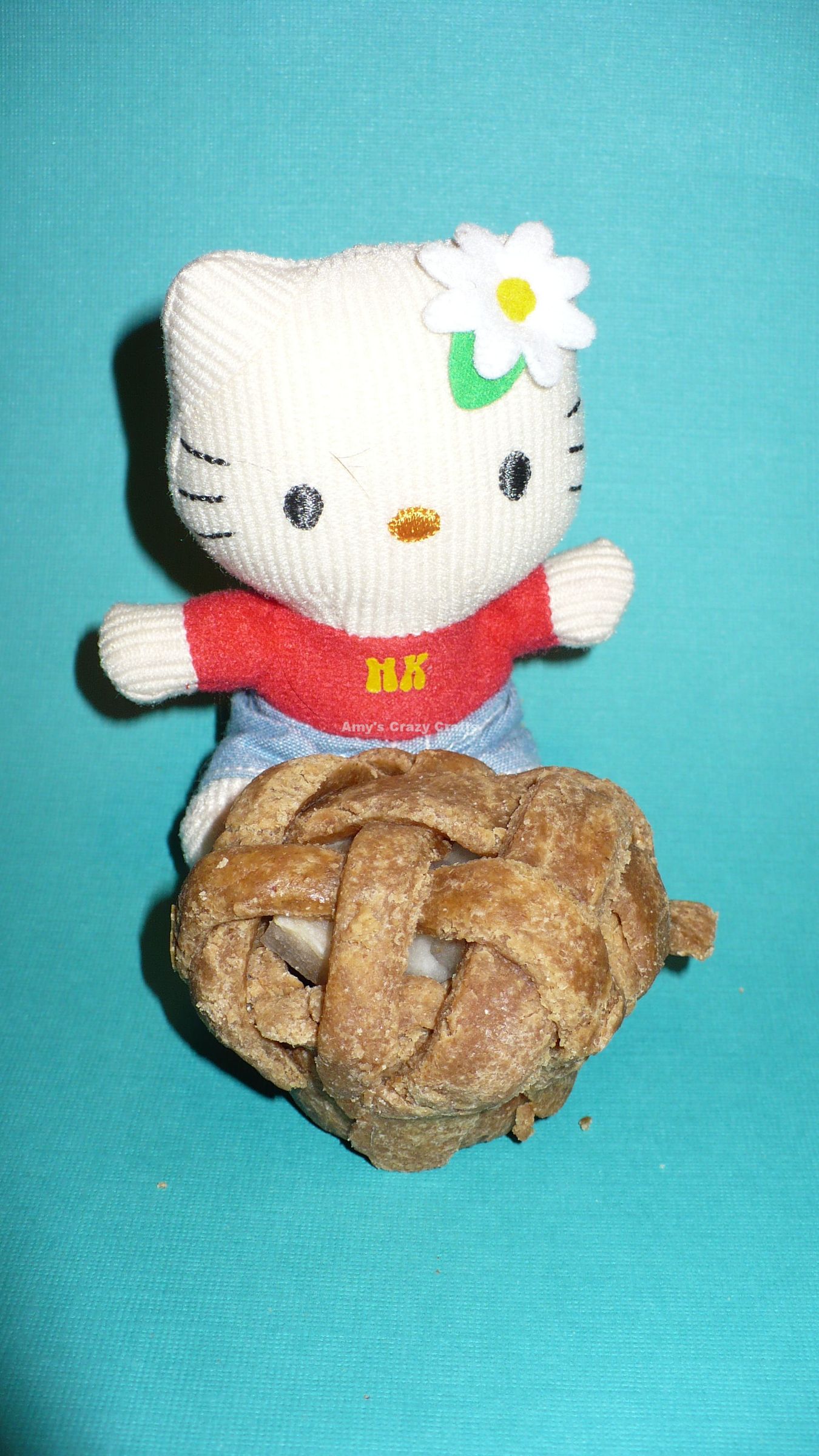 Pi Pie for Your Pets : 8 Steps (with Pictures) - Instructables