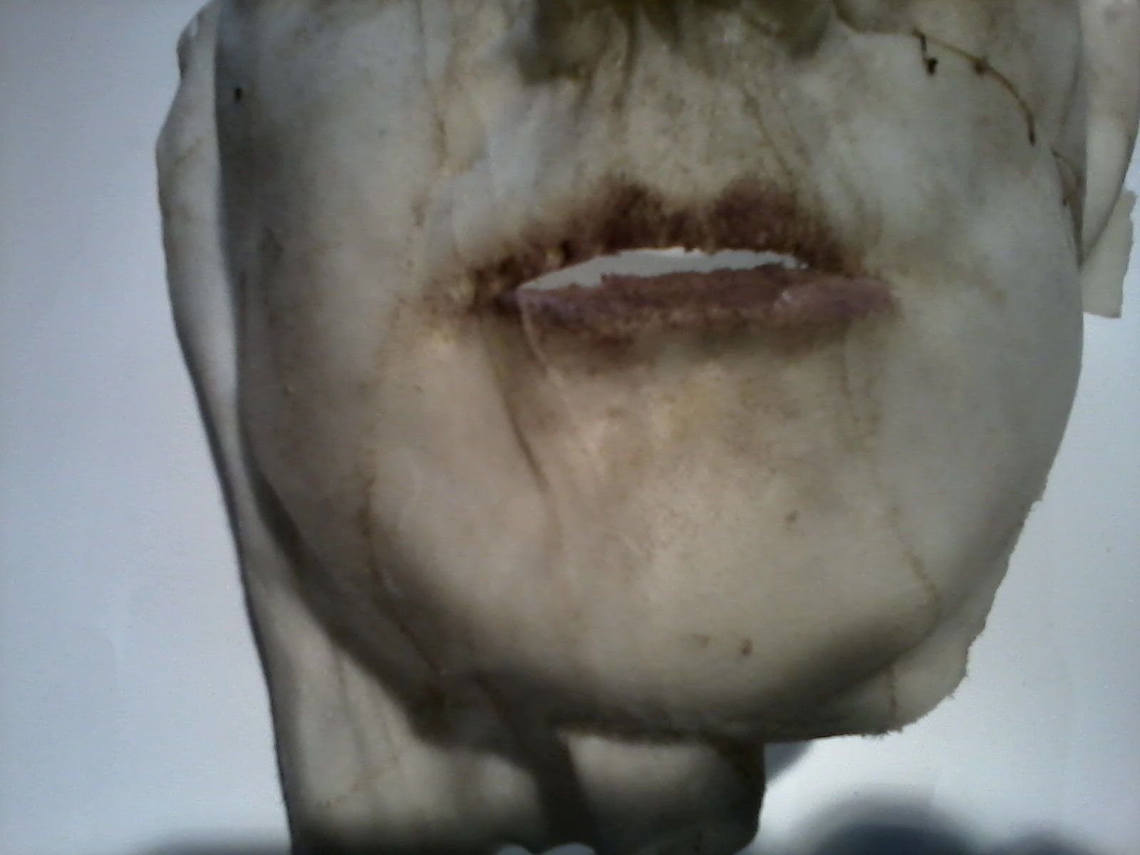 Mask Made Form Real Skin : 10 Steps - Instructables