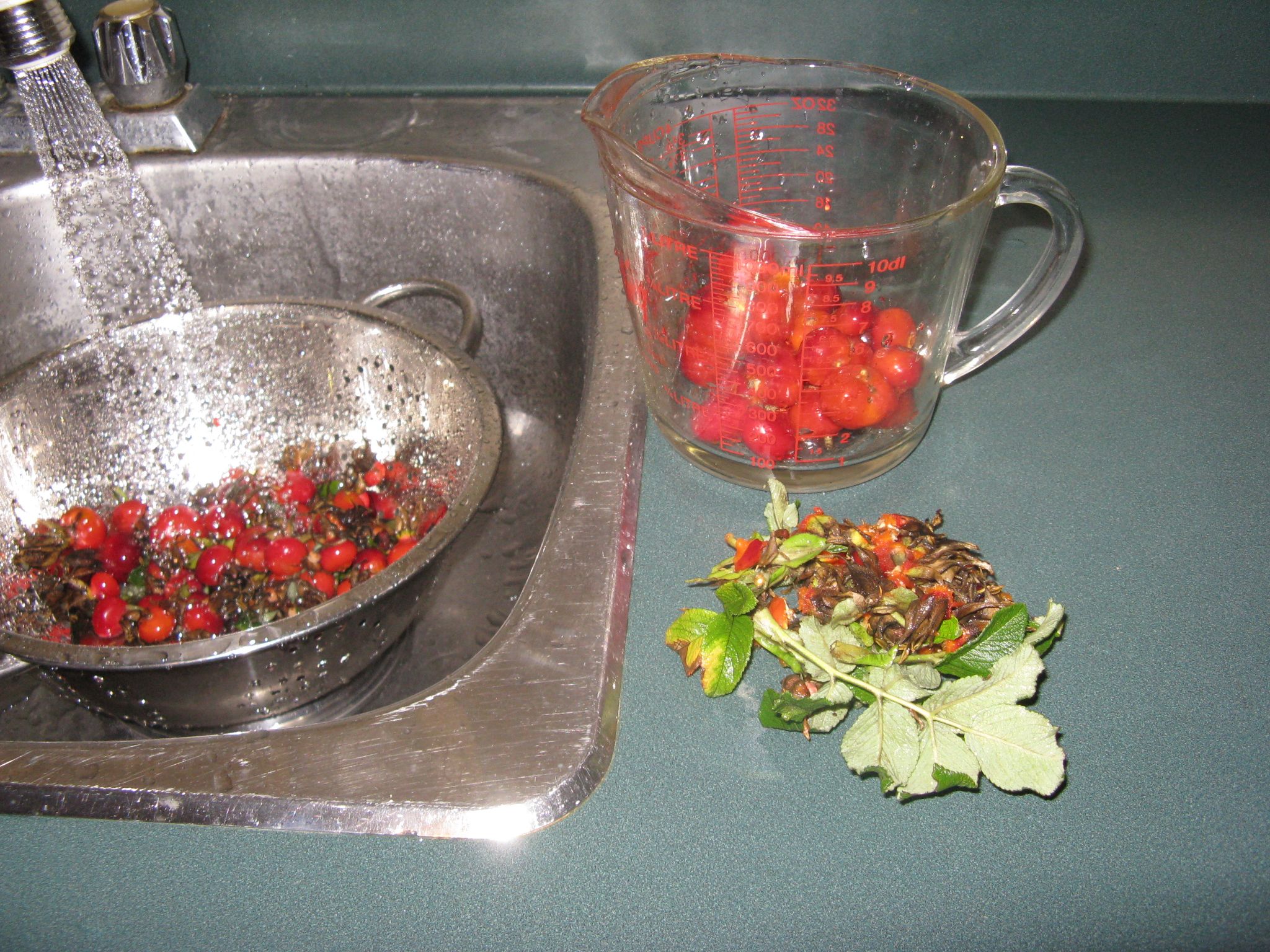 Sugar Free Rose Hip Jelly : 10 Steps (with Pictures) - Instructables