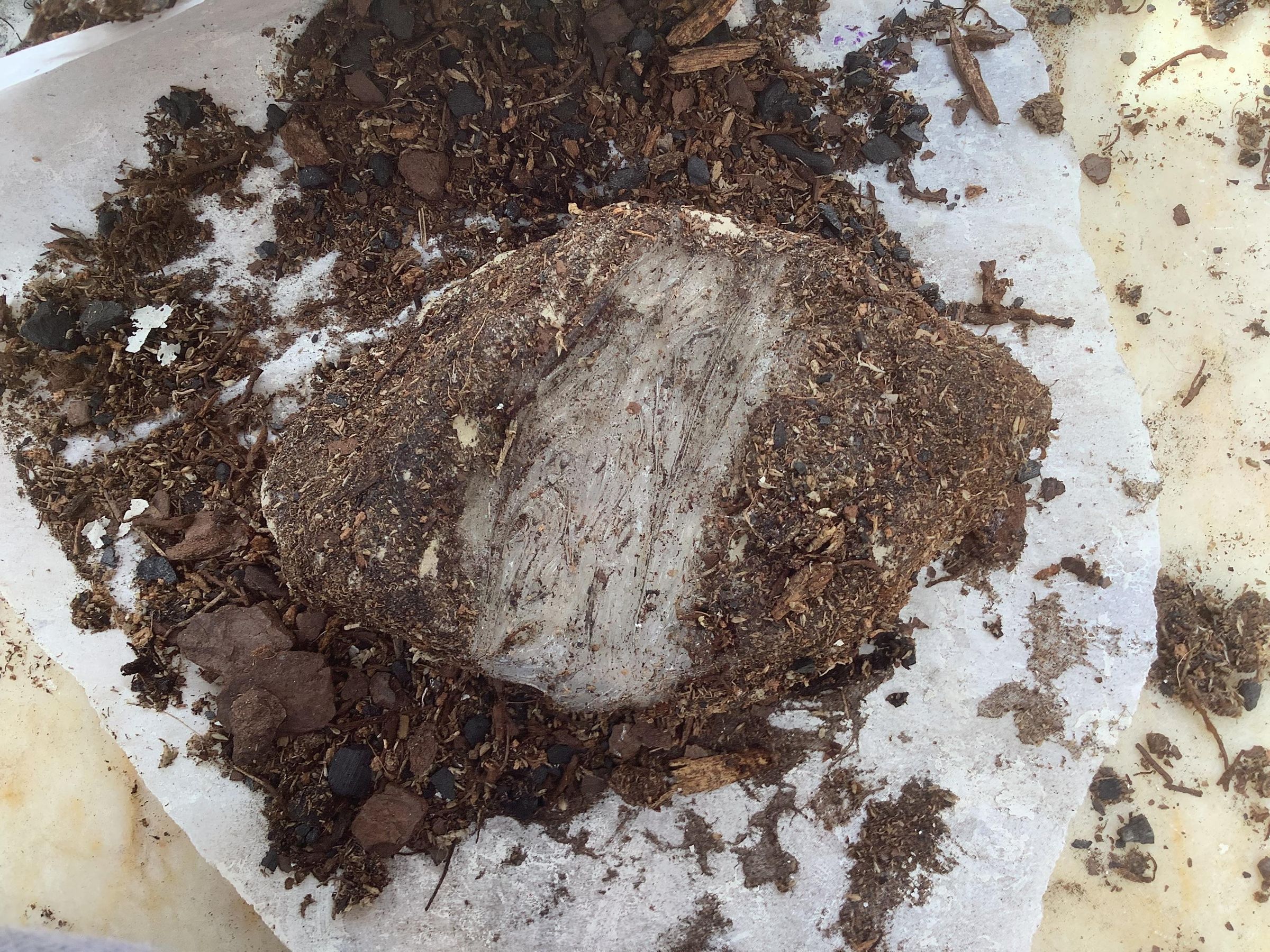 How to Make a Terrarium With a Running Waterfall : 7 Steps - Instructables