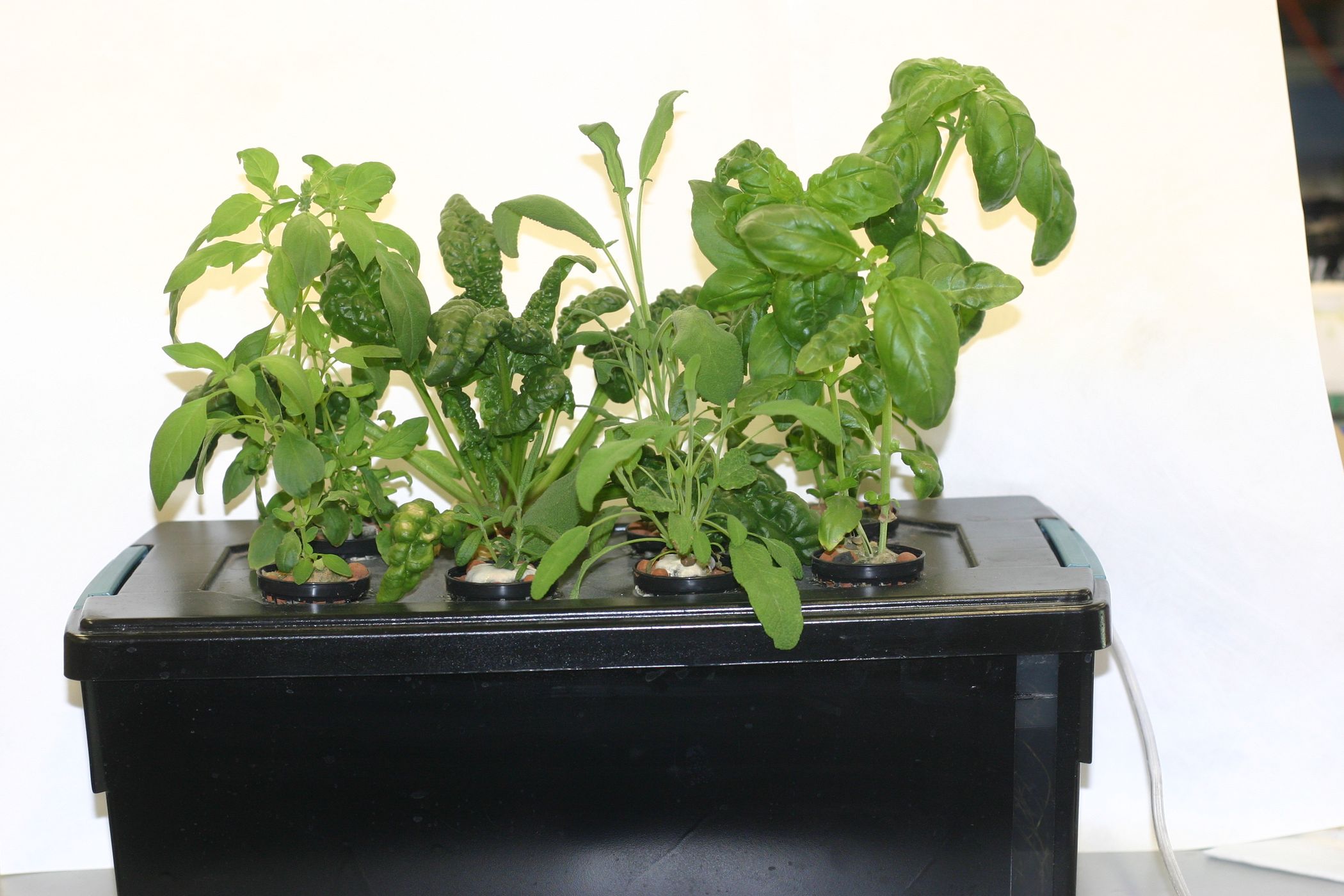 Home Made Windowsill Hydroponic Herb Garden - Instructables