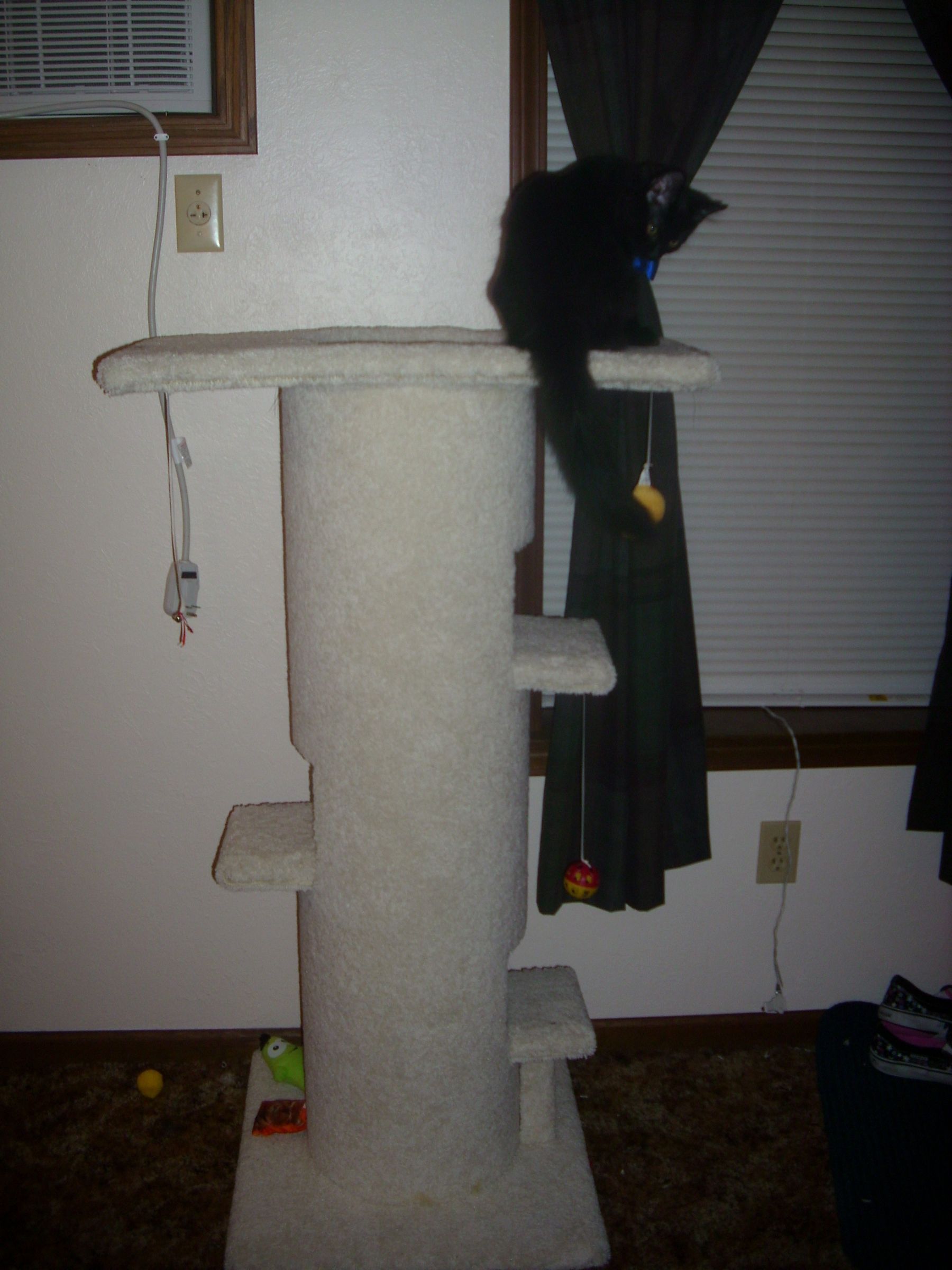 Cat Condo : 8 Steps - Instructables