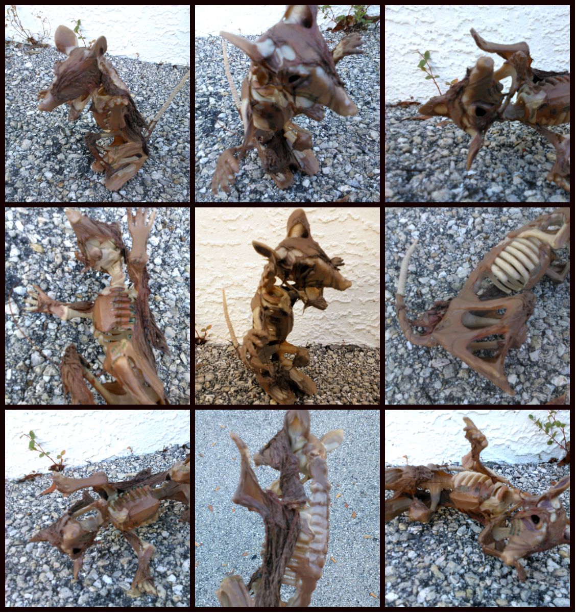 Easy Decomposed Skeleton Decor : 4 Steps - Instructables