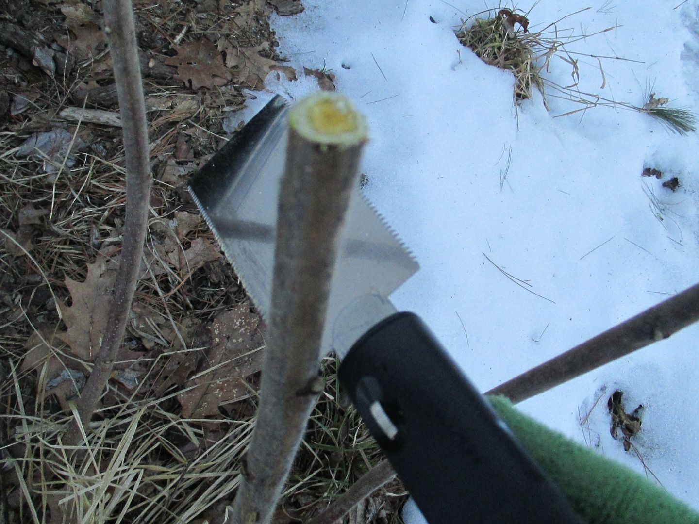 How to Make a Spile(for Collecting Sap) : 6 Steps (with Pictures ...