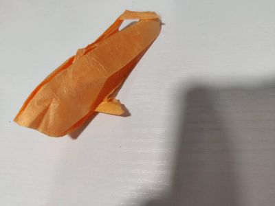 Origami Koi Fish : 22 Steps - Instructables