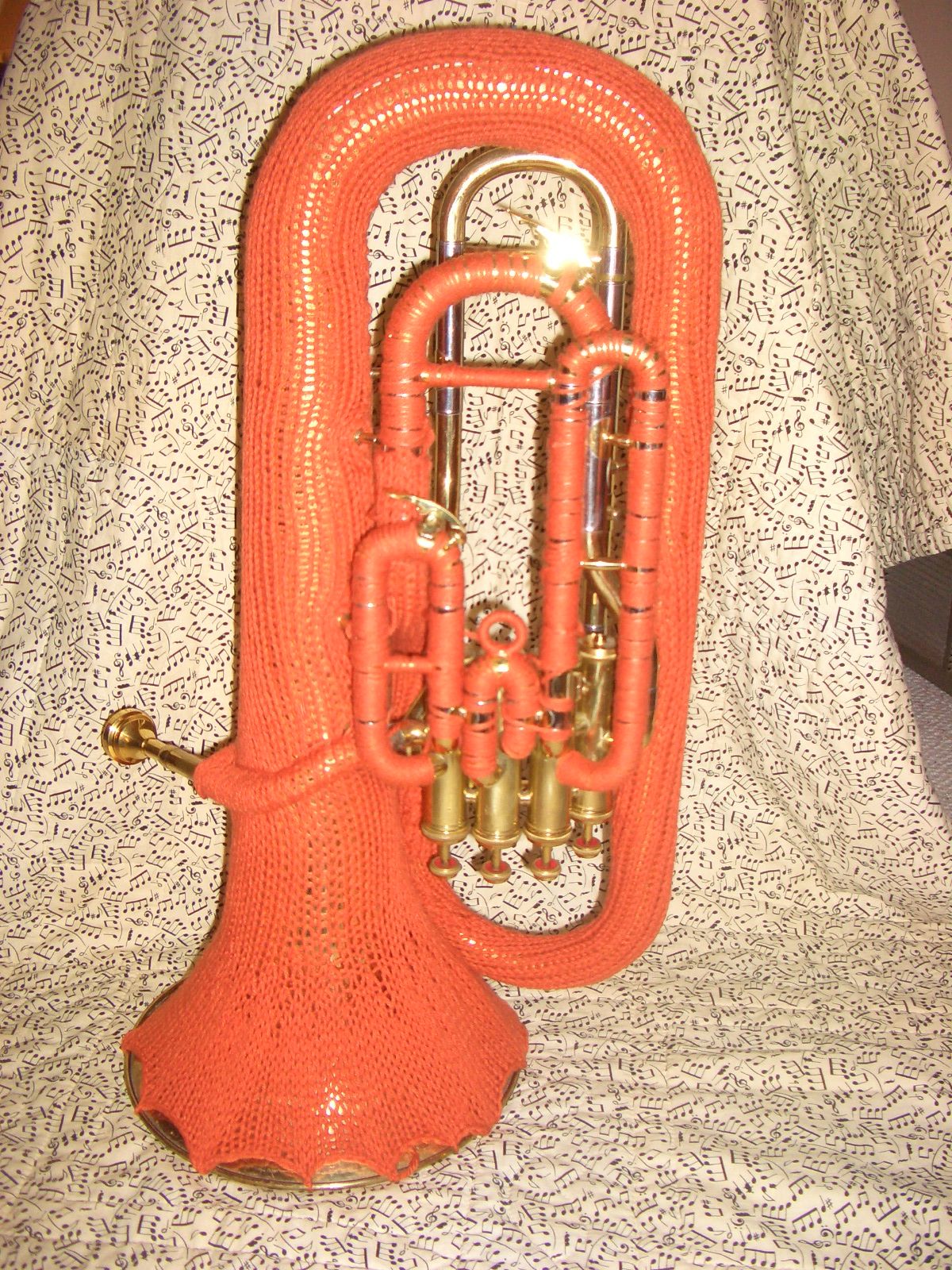 The Warmest Euphonium in the World! (with Pictures) - Instructables