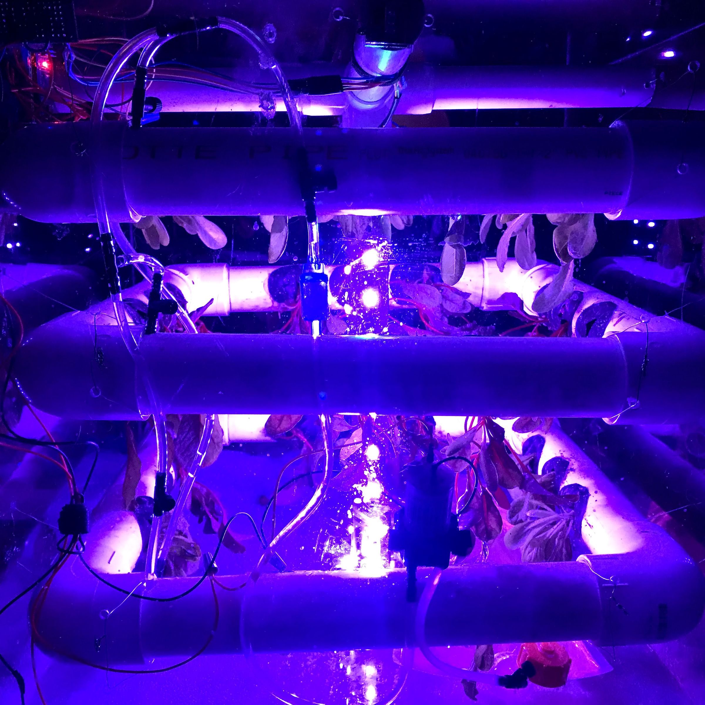 Hydroponic Grow Box : 6 Steps (with Pictures) - Instructables