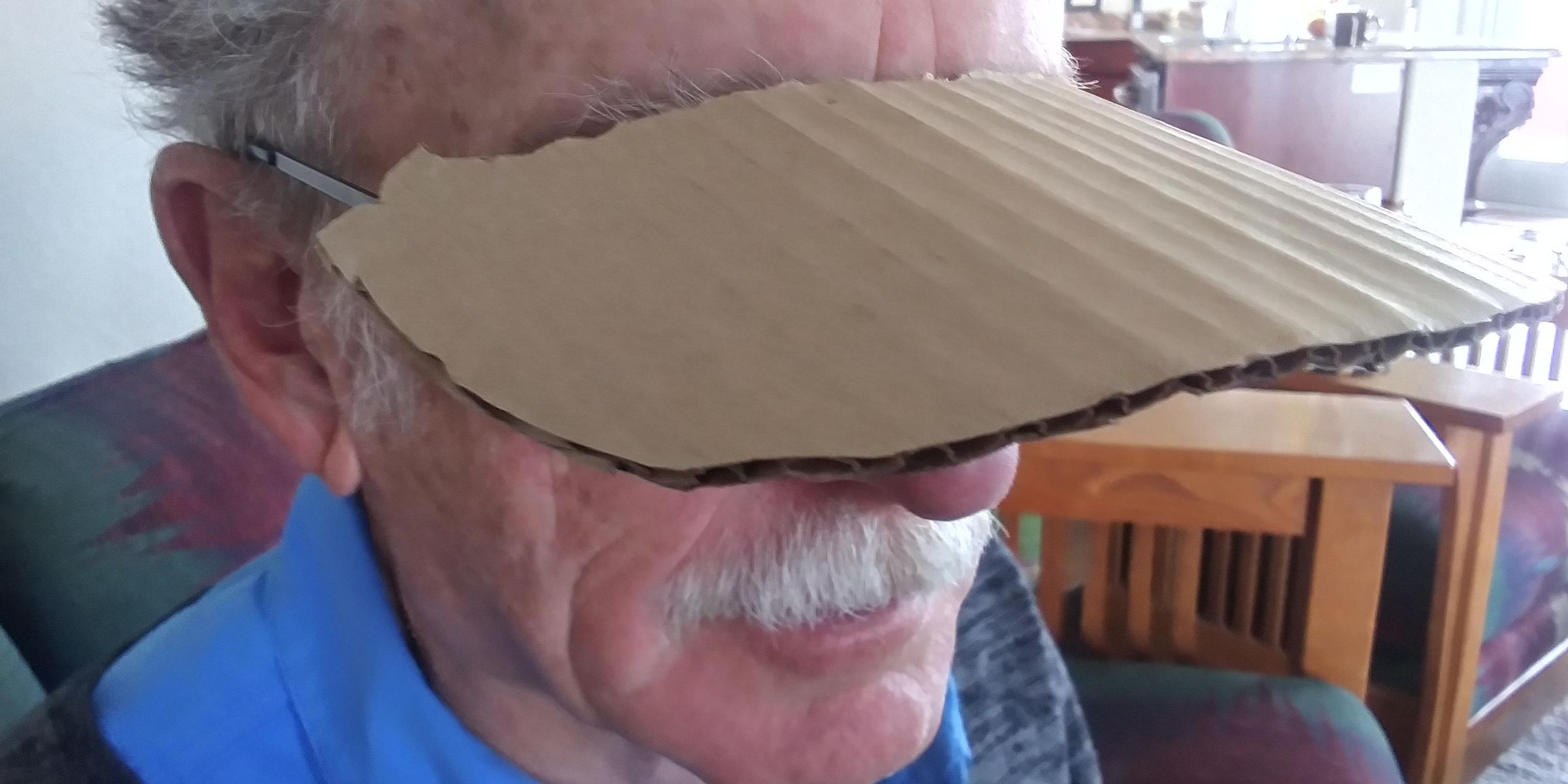 Sunboard-- Cardboard Sunvisor for Eyeglasses : 3 Steps - Instructables