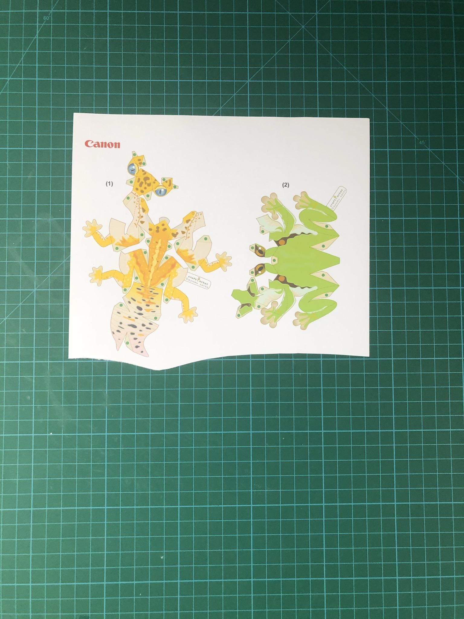 Canon CreativePark's Papercraft : 7 Steps - Instructables