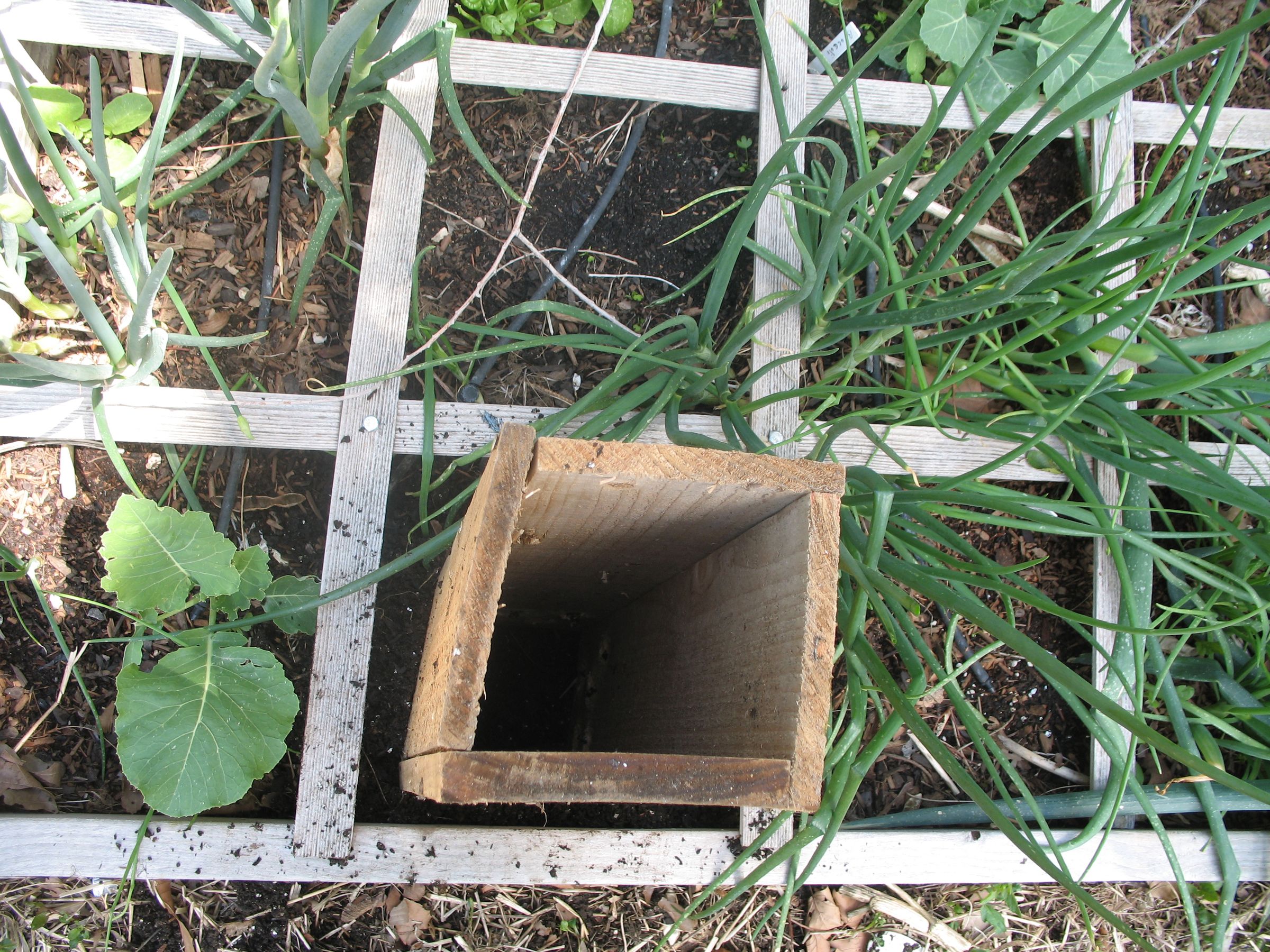 Worm Cafe - Compost With Earthworms Right in Your Garden : 13 Steps ...