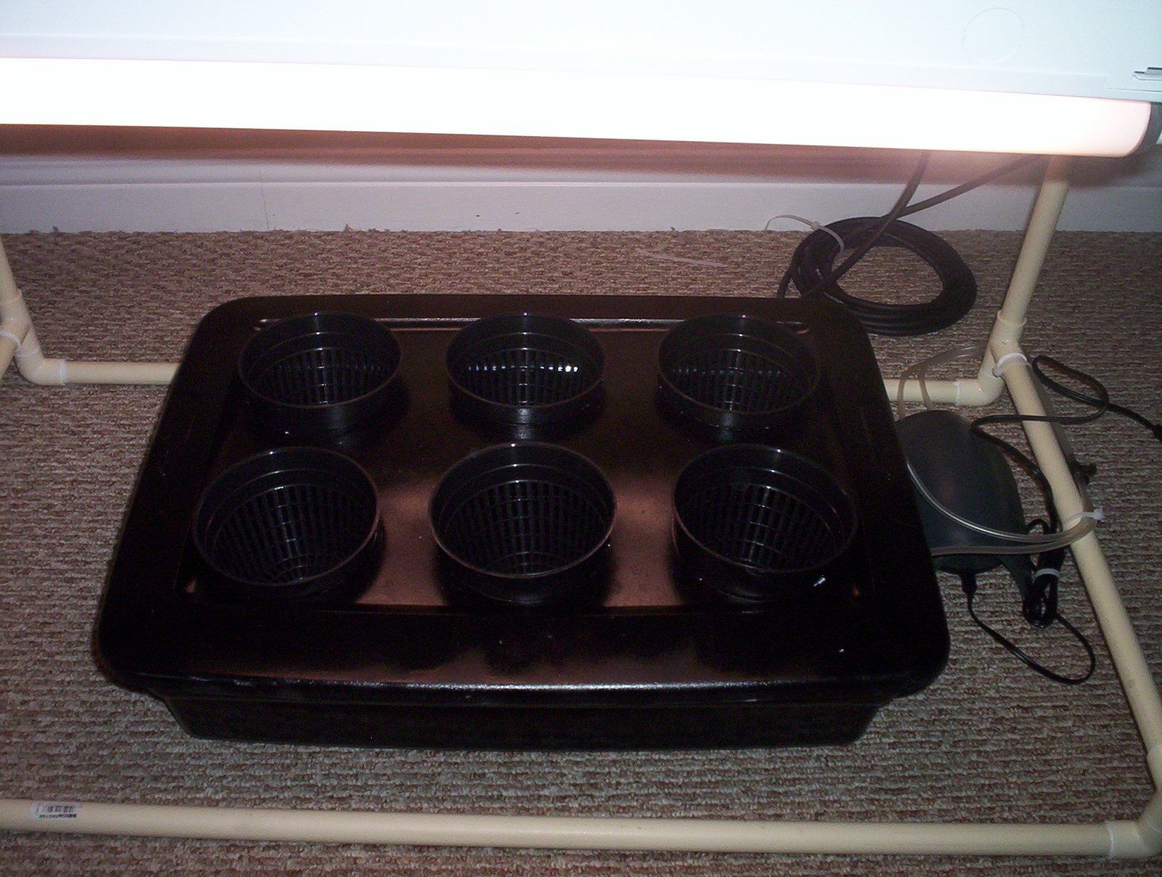 My Indoor DWC Hydroponics System : 10 Steps (with Pictures) - Instructables