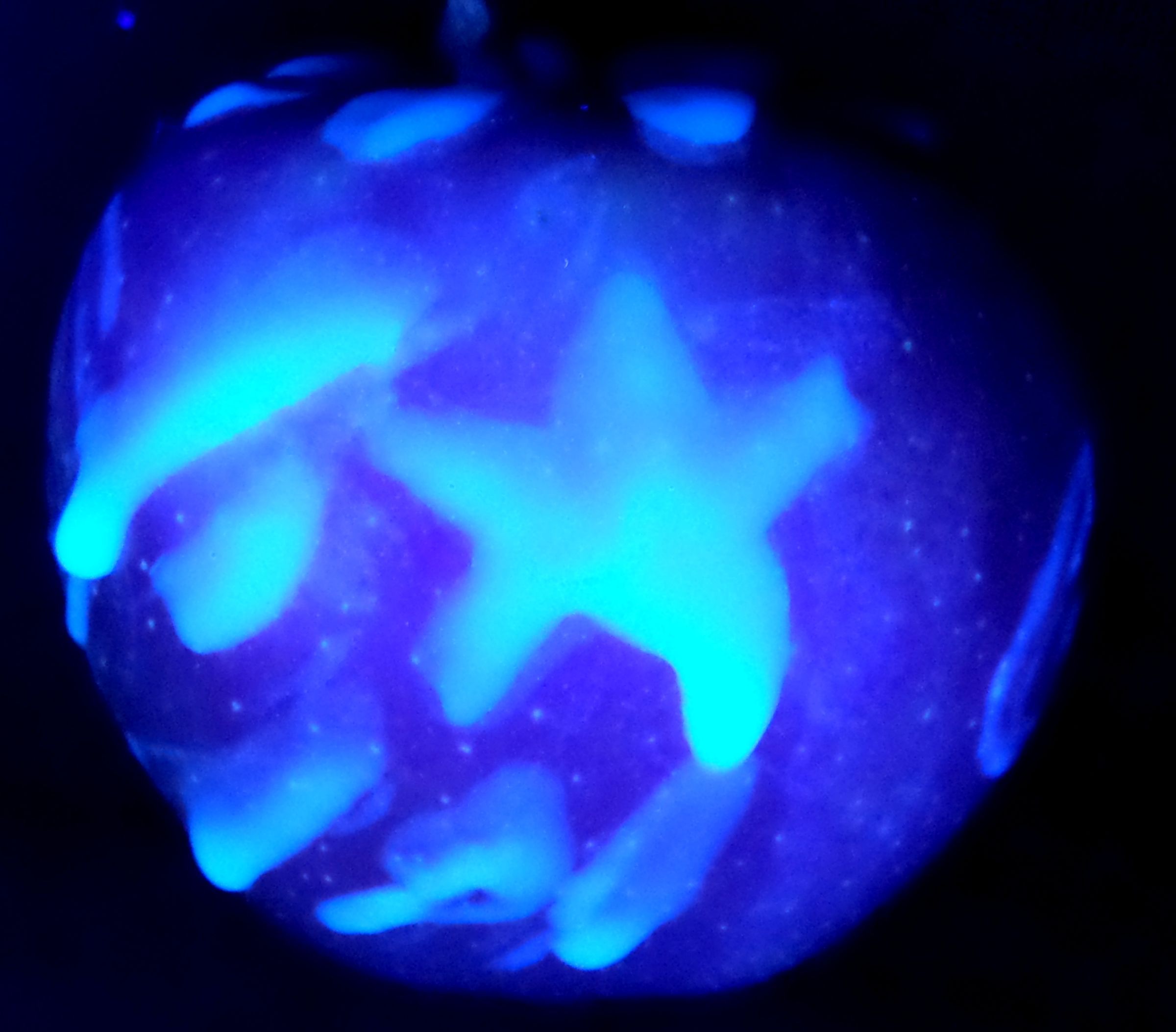 Glowing Edible Paint : 7 Steps (with Pictures) - Instructables