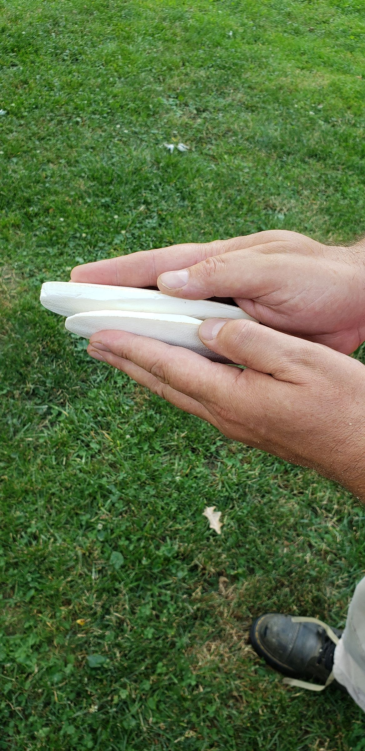Silver Ring - Cuttlebone Cast : 13 Steps (with Pictures) - Instructables