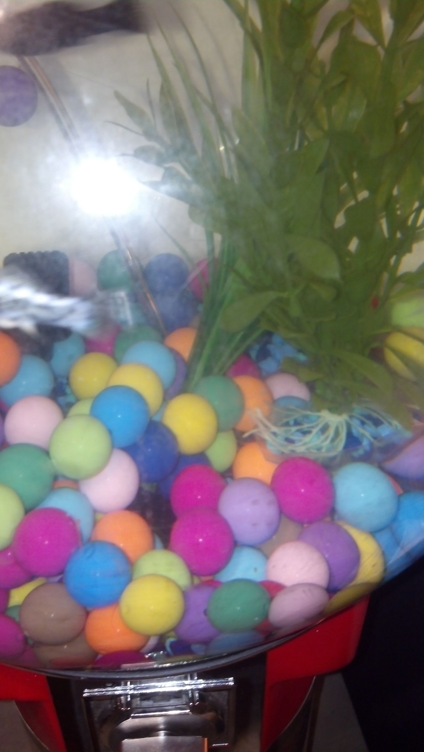 Aquarium Gumball Machine : 6 Steps (with Pictures) - Instructables