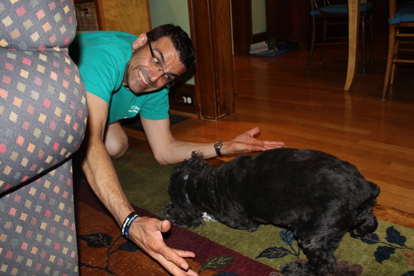 How to Pick Up a Dog! : 3 Steps - Instructables