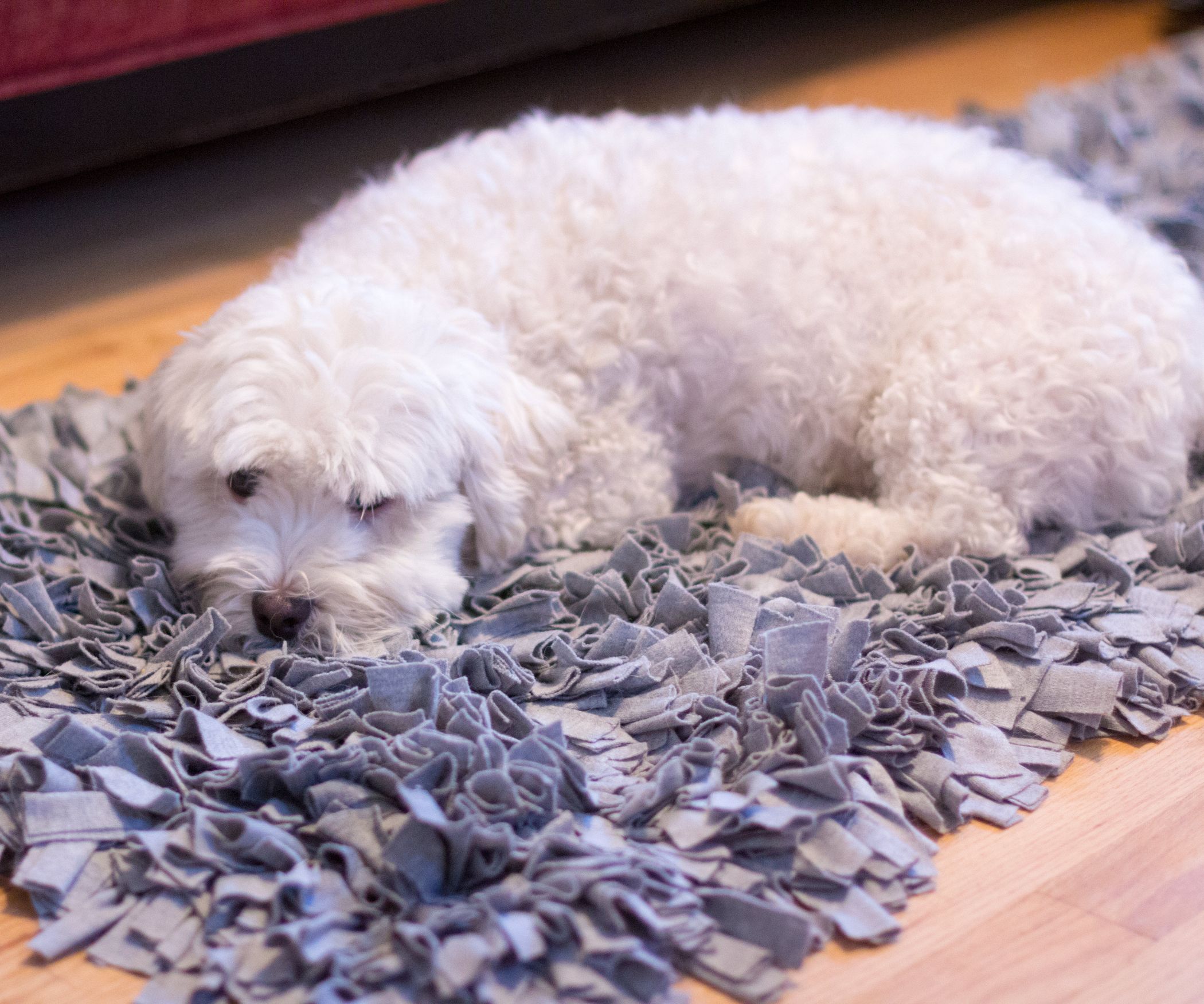 DIY T-Shirt Jersey Shag Rug : 6 Steps (with Pictures) - Instructables