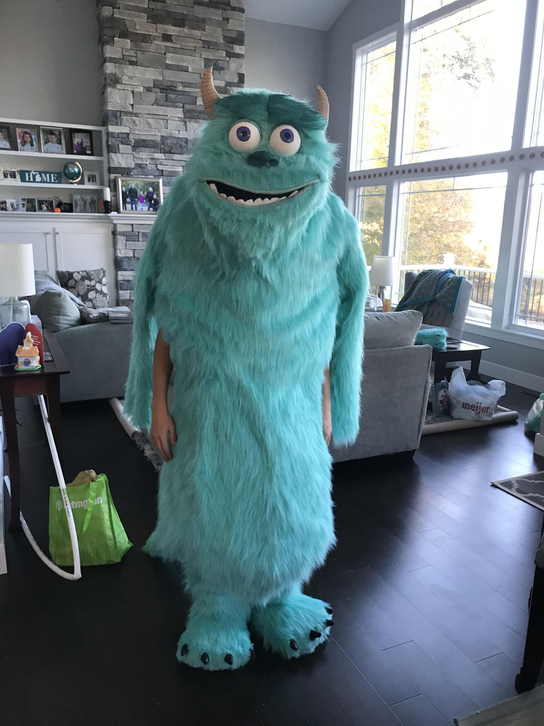 Sulley (Trademark Disney) Monster Homemade Halloween Costume : 11 Steps ...