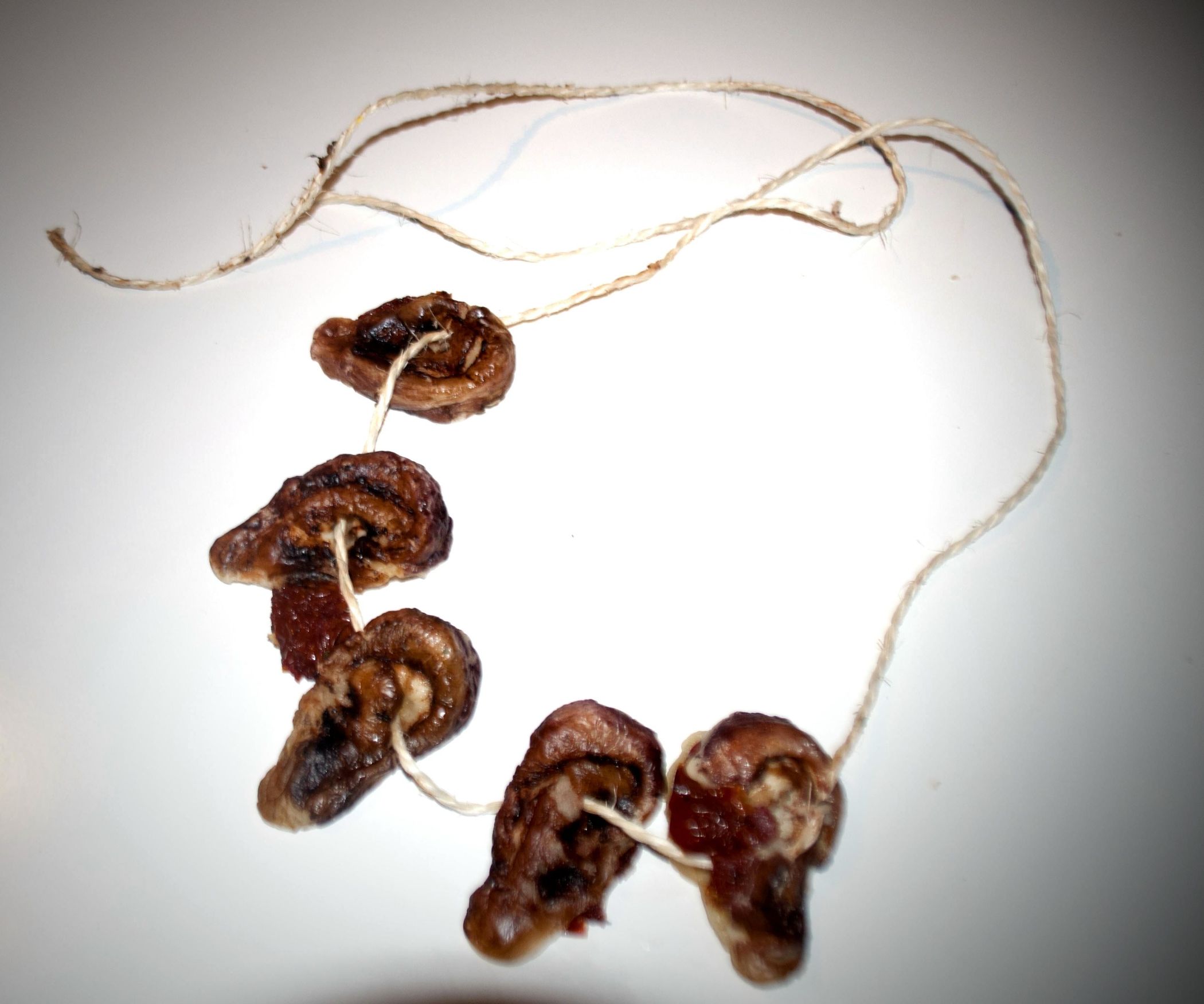 Zombie-Ear Necklace Snack (The Walking Dead) : 7 Steps (with Pictures ...