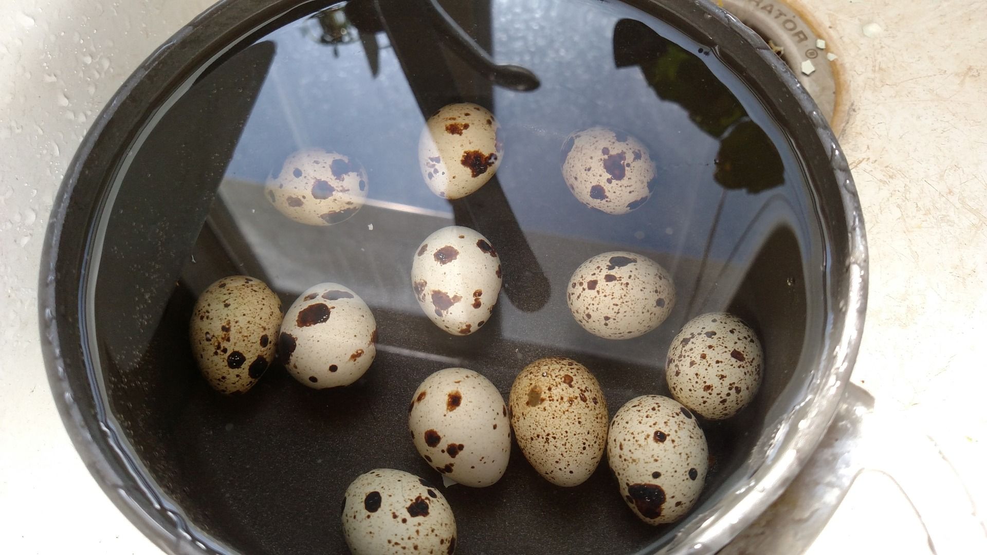 Quail Egg Brunch Bites : 4 Steps (with Pictures) - Instructables