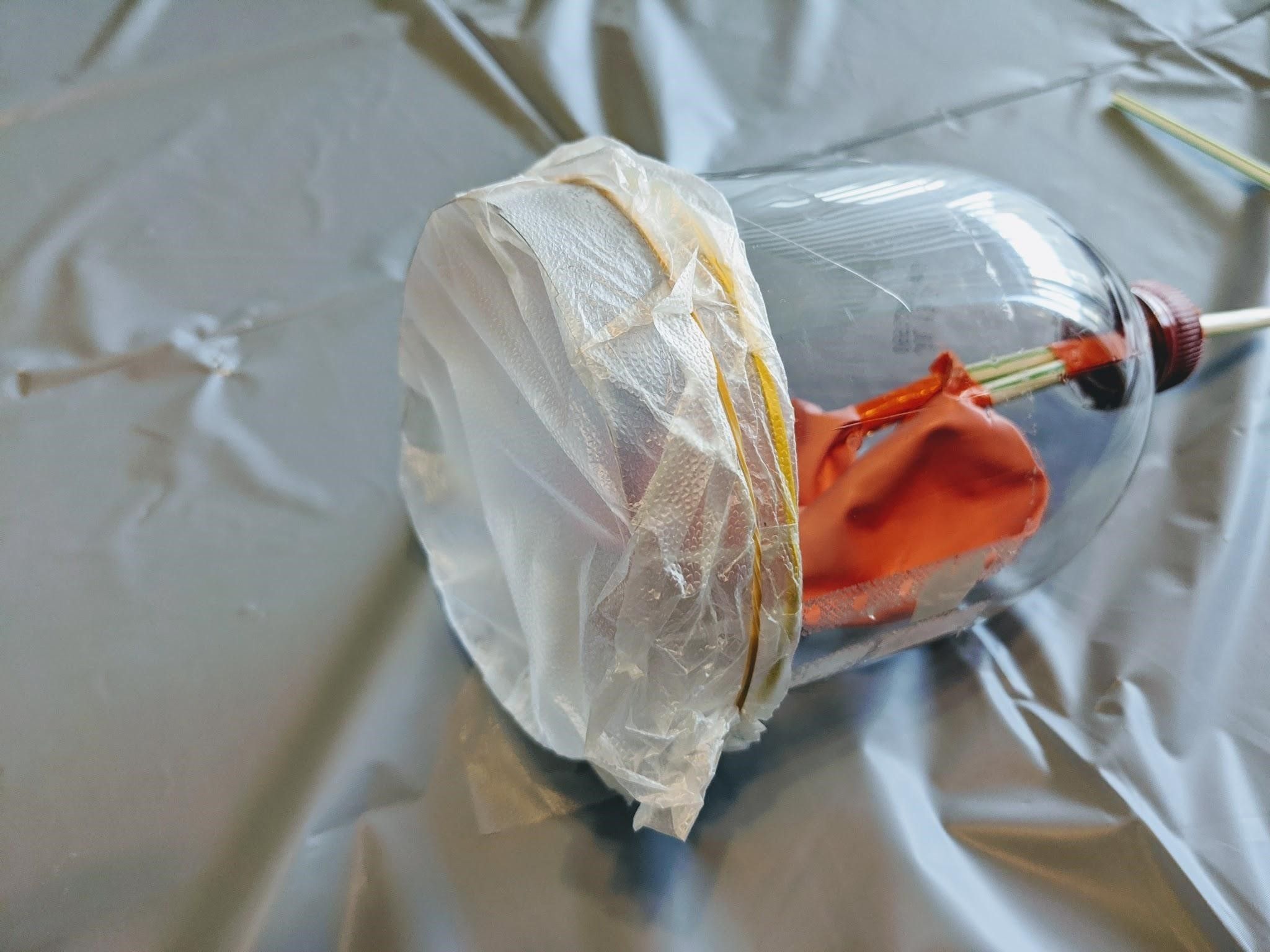 Make a Human Lung Model : 9 Steps (with Pictures) - Instructables