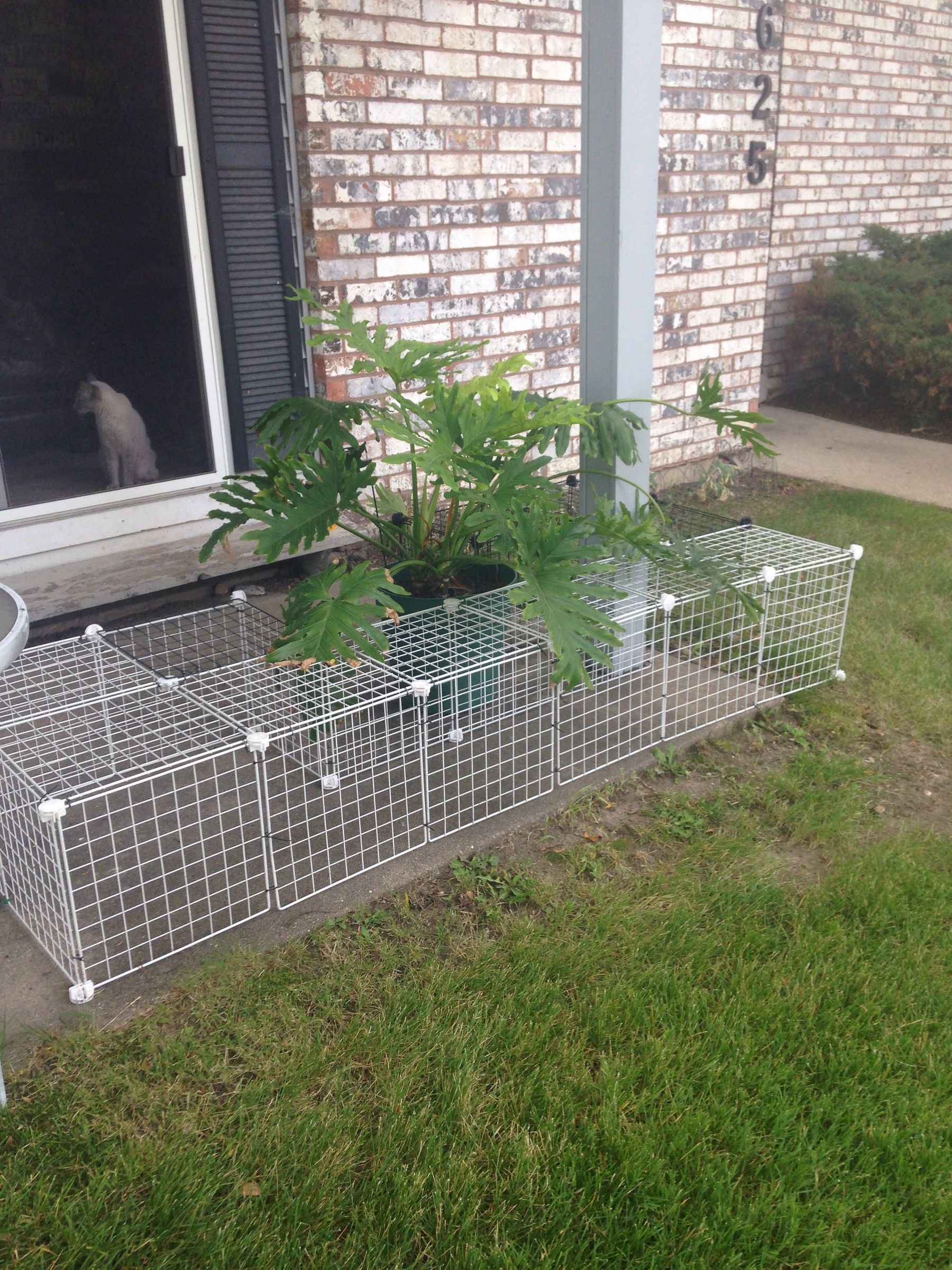 DIY Cat Run : 5 Steps - Instructables