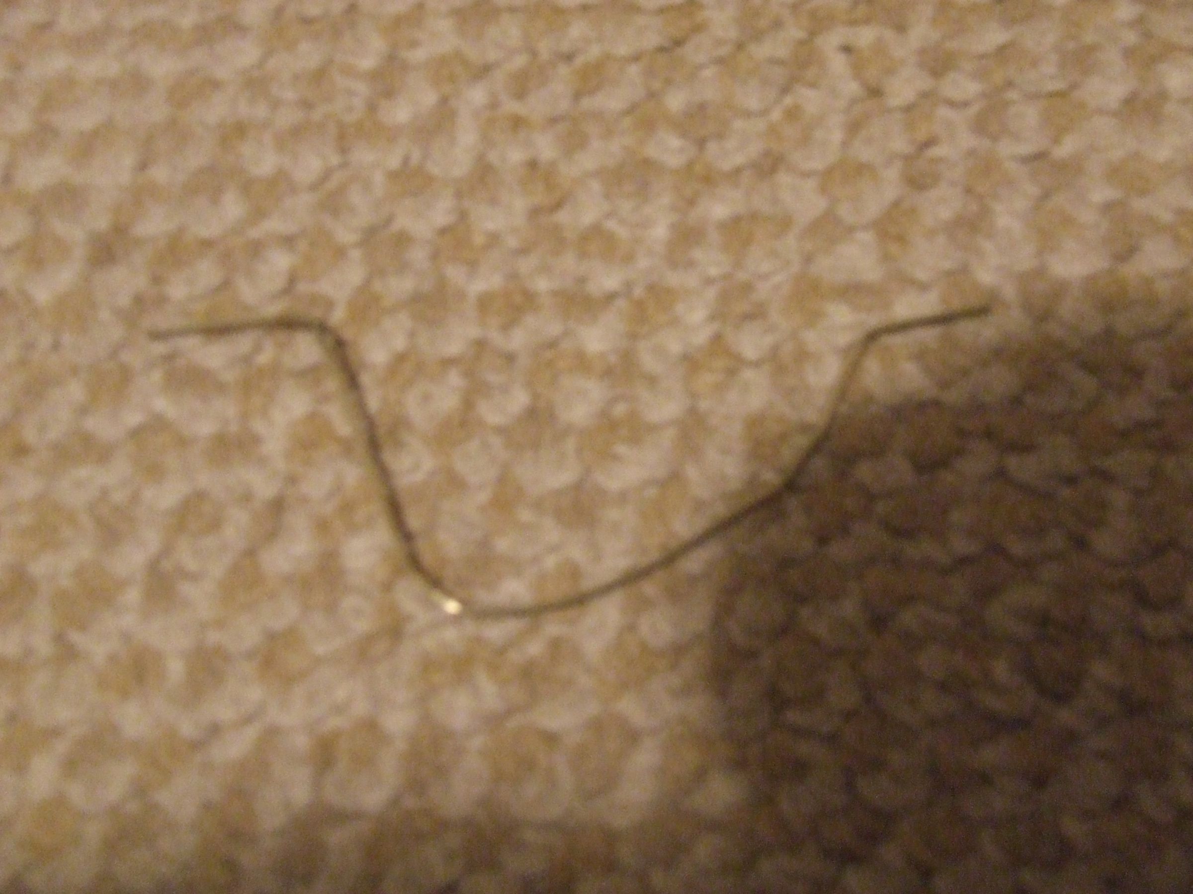Paper Clip Prank : 4 Steps - Instructables