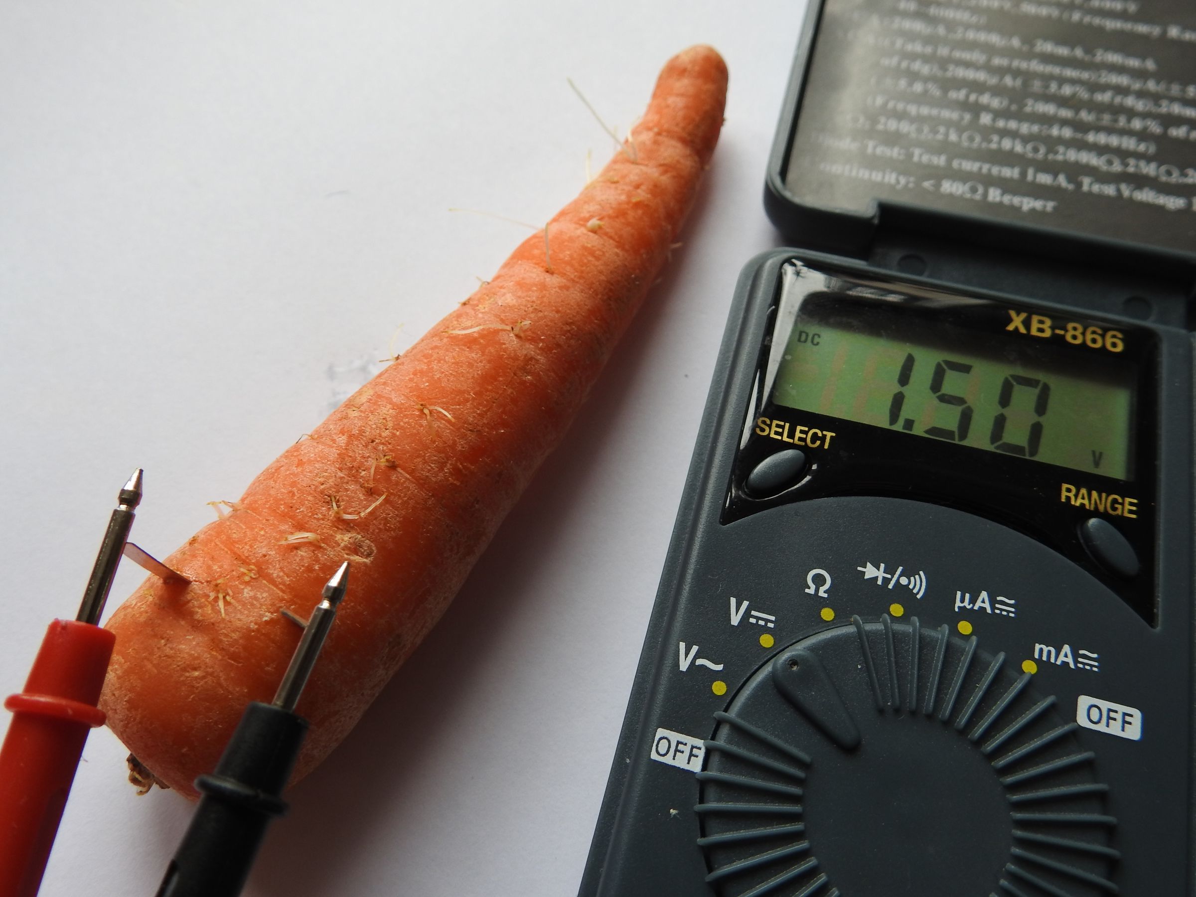 Greenest Energy in the Earth - Vegetable Battery (MEDELIS BATTERY Green ...