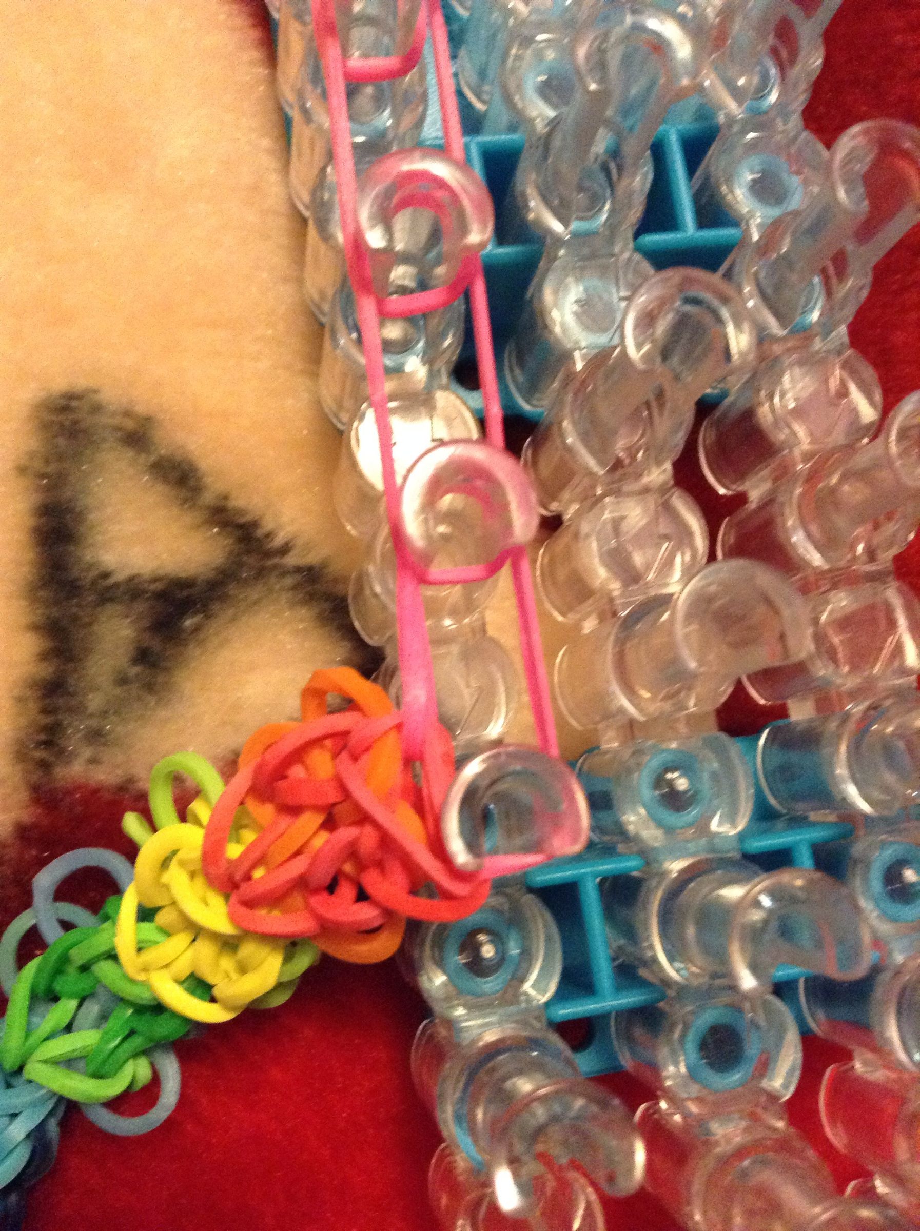 Rainbow Loom Butterfly : 27 Steps - Instructables