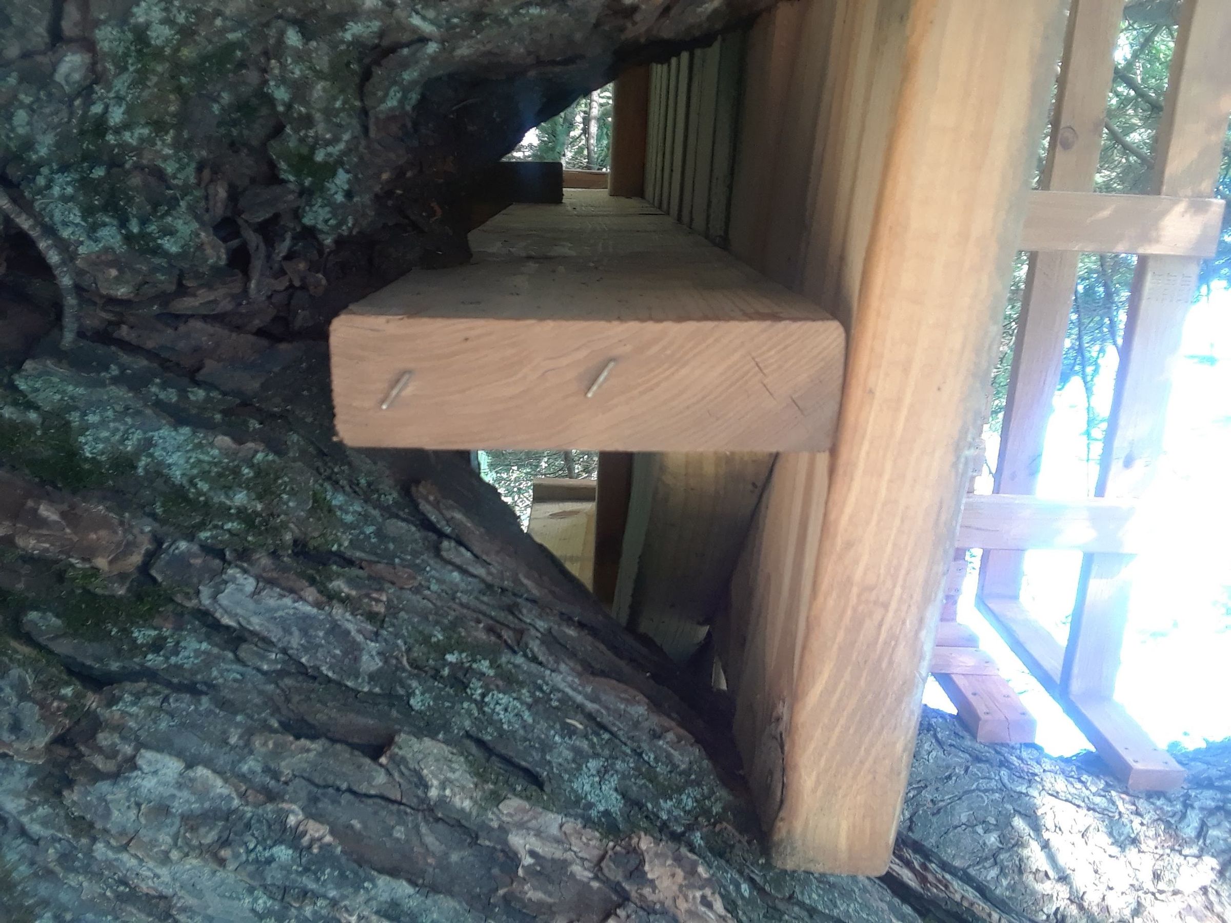 Tree House With Bench and Pulley System : 11 Steps - Instructables