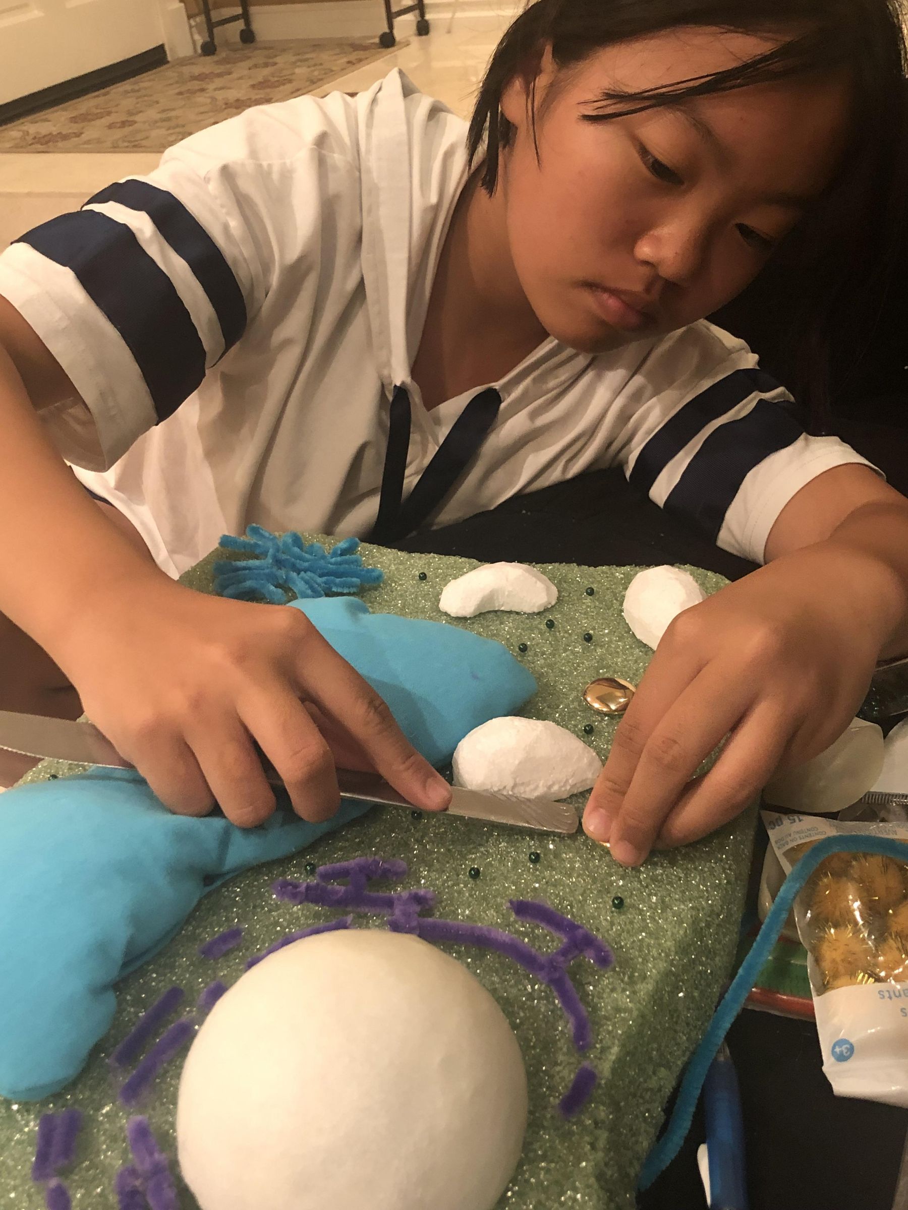 Cell Model Educational Model From Recycled Materials : 5 Steps (with ...