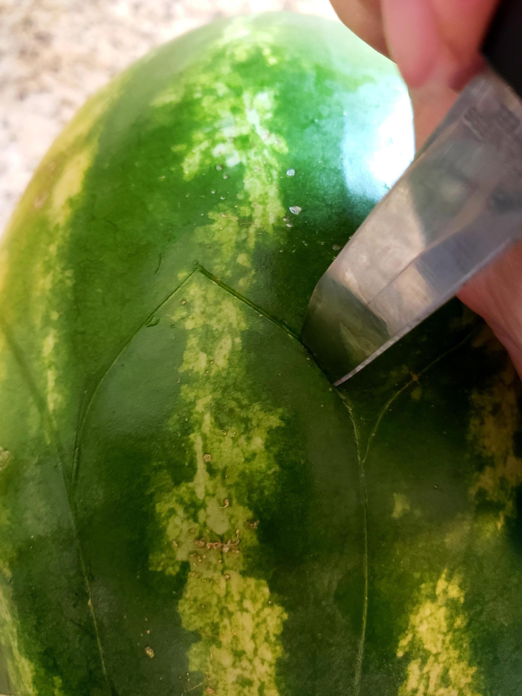 Watermelon Lotus Flower Carving! : 17 Steps (with Pictures) - Instructables