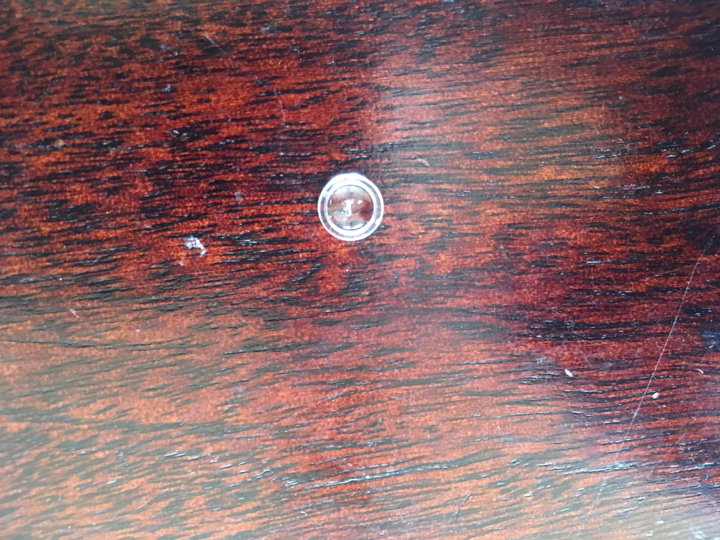 DIY IPhone Camera Microscope : 8 Steps (with Pictures) - Instructables